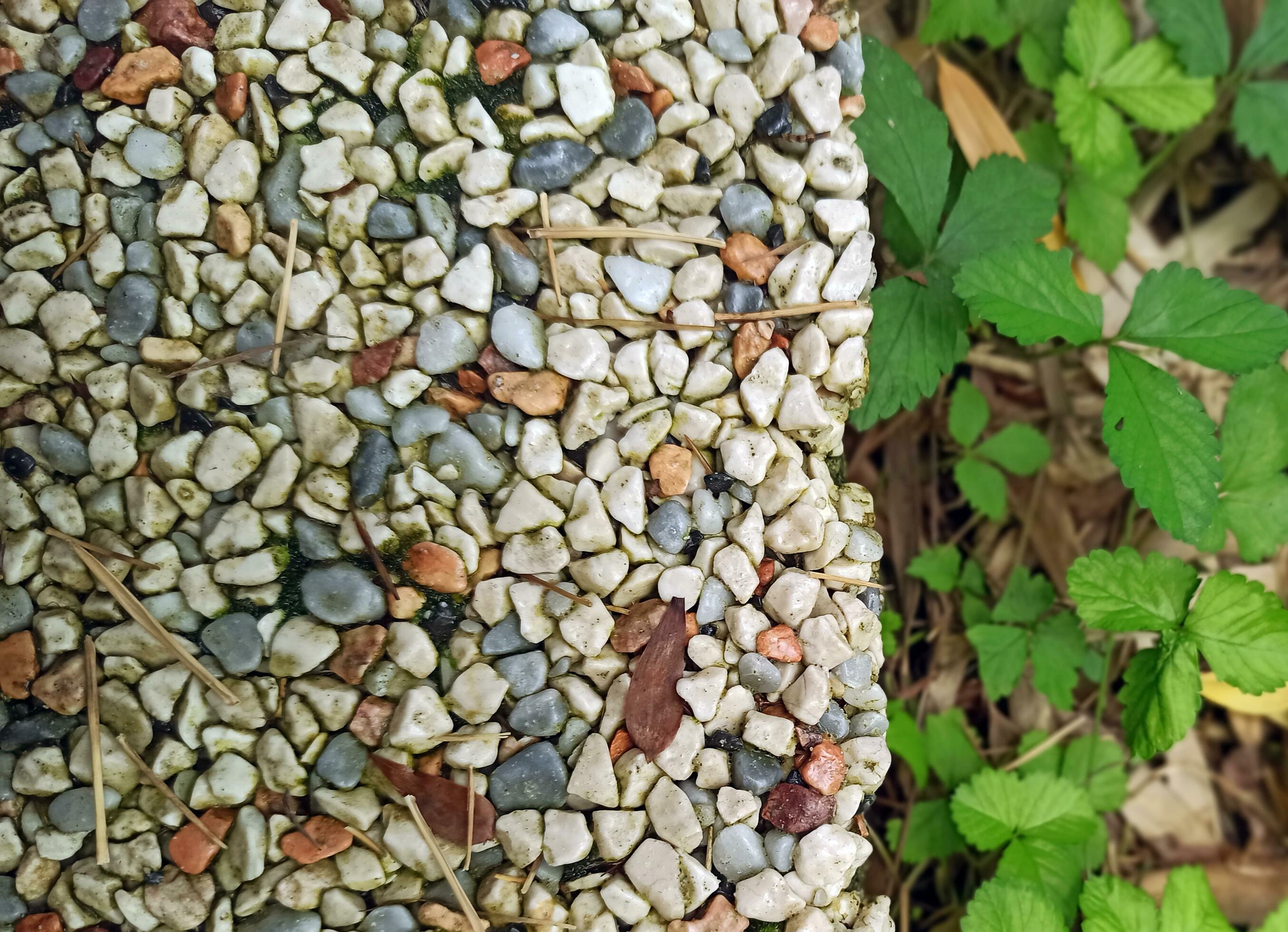 The Path Is The Texture Of Stone And Grass Close Up Background Image Straight Line Of Stone