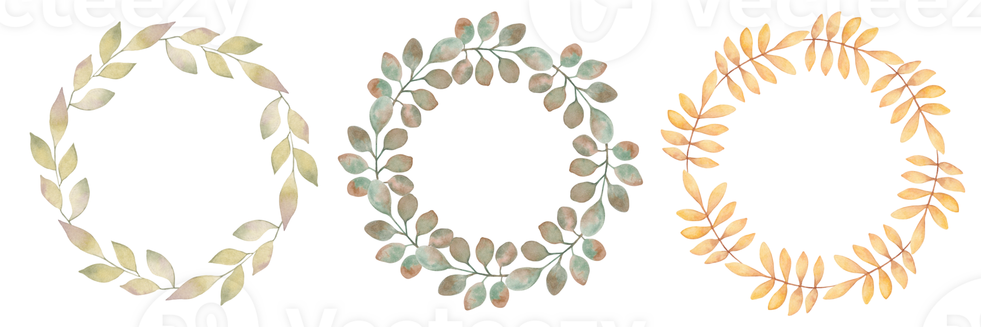 A set of elegant round frames, garlands, wreaths or borders made from ... A set of elegant round frames, garlands, wreaths or borders made from ...