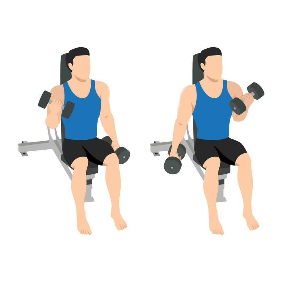 Man Doing Seated Alternating Bicep Twist Curl Exercise 33335138 Vector 9258