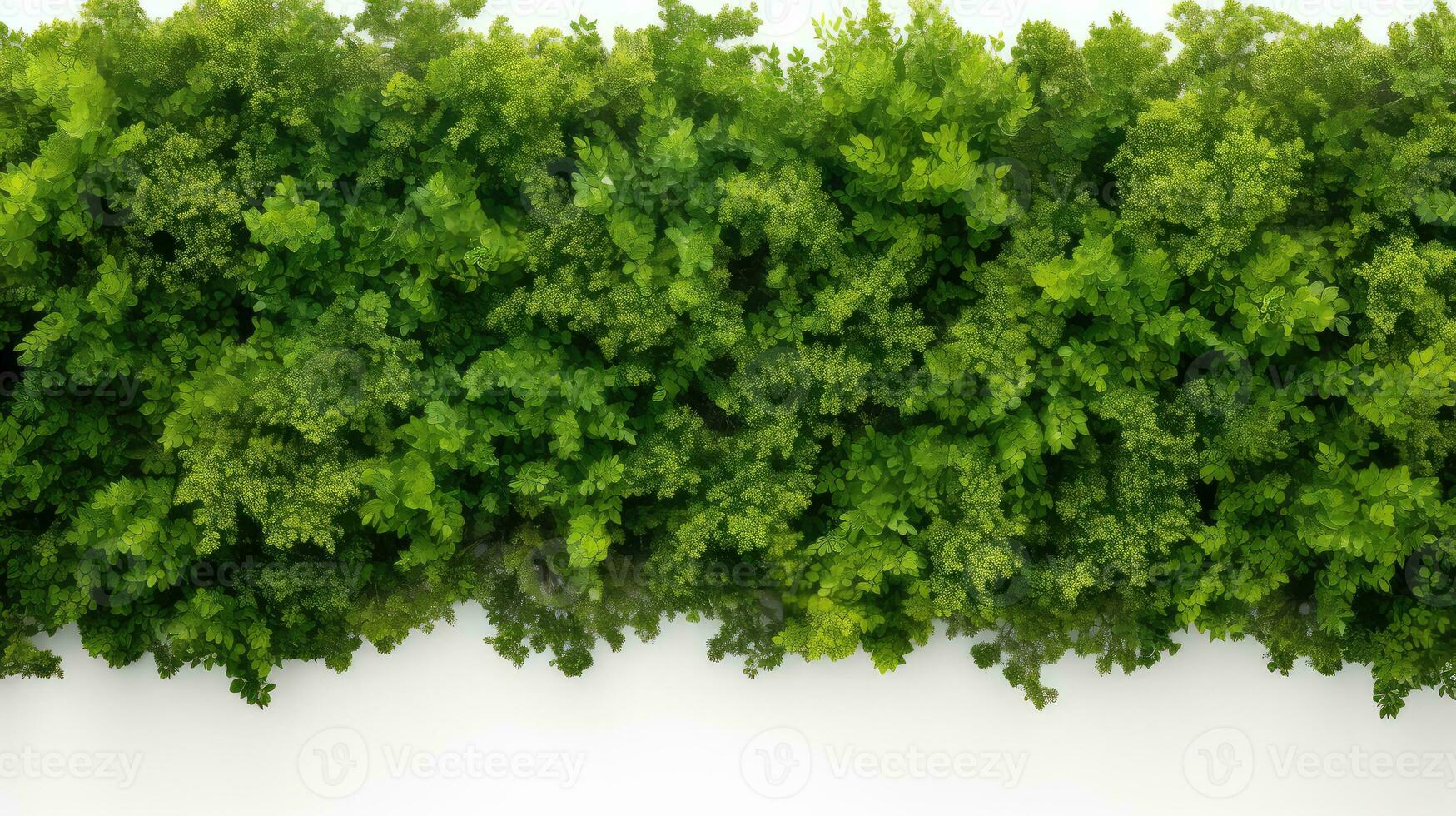 woodland overhead tree border top view ai generated 33350603 Stock ...