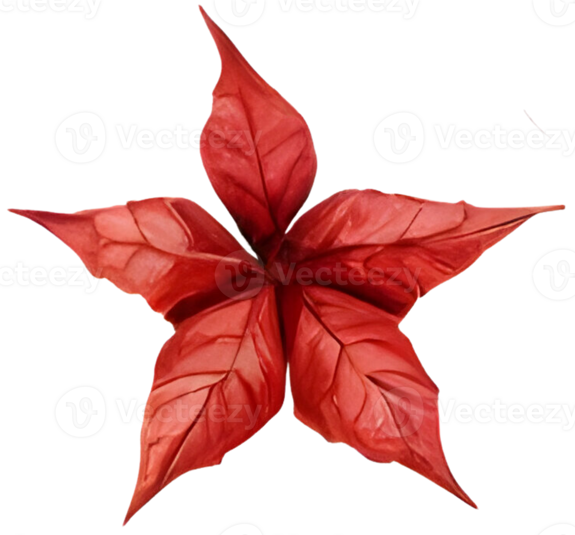 Red leaf in autumn. Generative AI 33353964 PNG