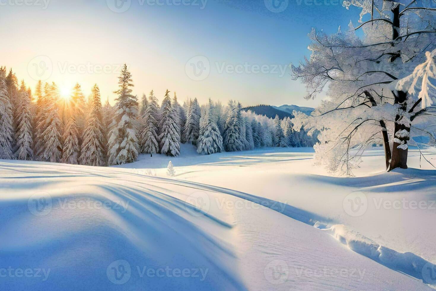 photo wallpaper the sky, snow, trees, trees, trees, trees, trees, trees ...