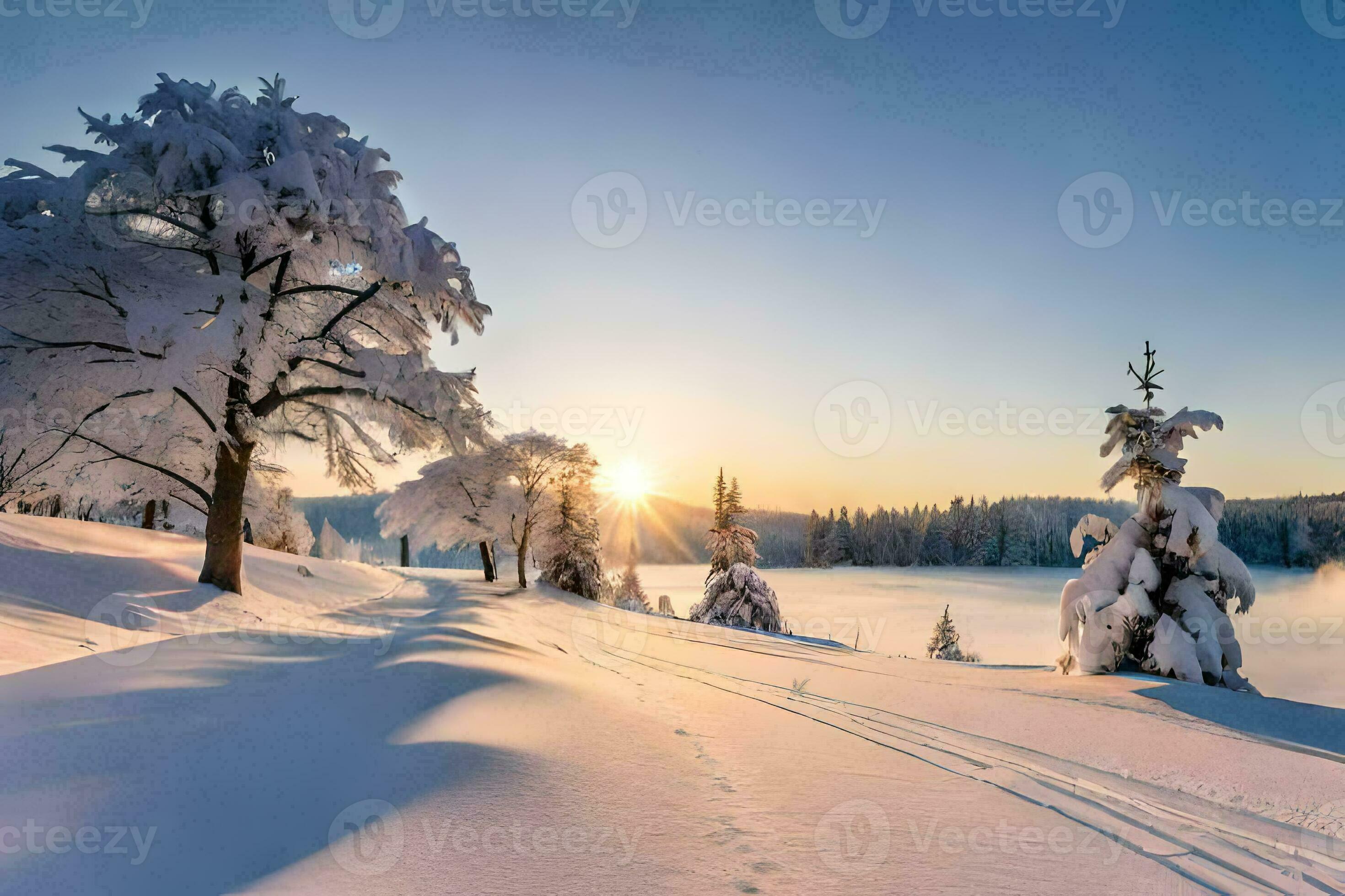 photo wallpaper the sky, trees, snow, trees, trees, trees, trees, trees ...