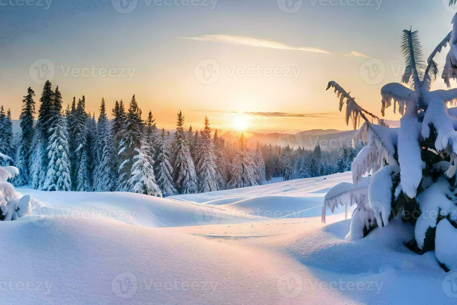 photo wallpaper the sky, snow, trees, the sun, winter, trees, the ...