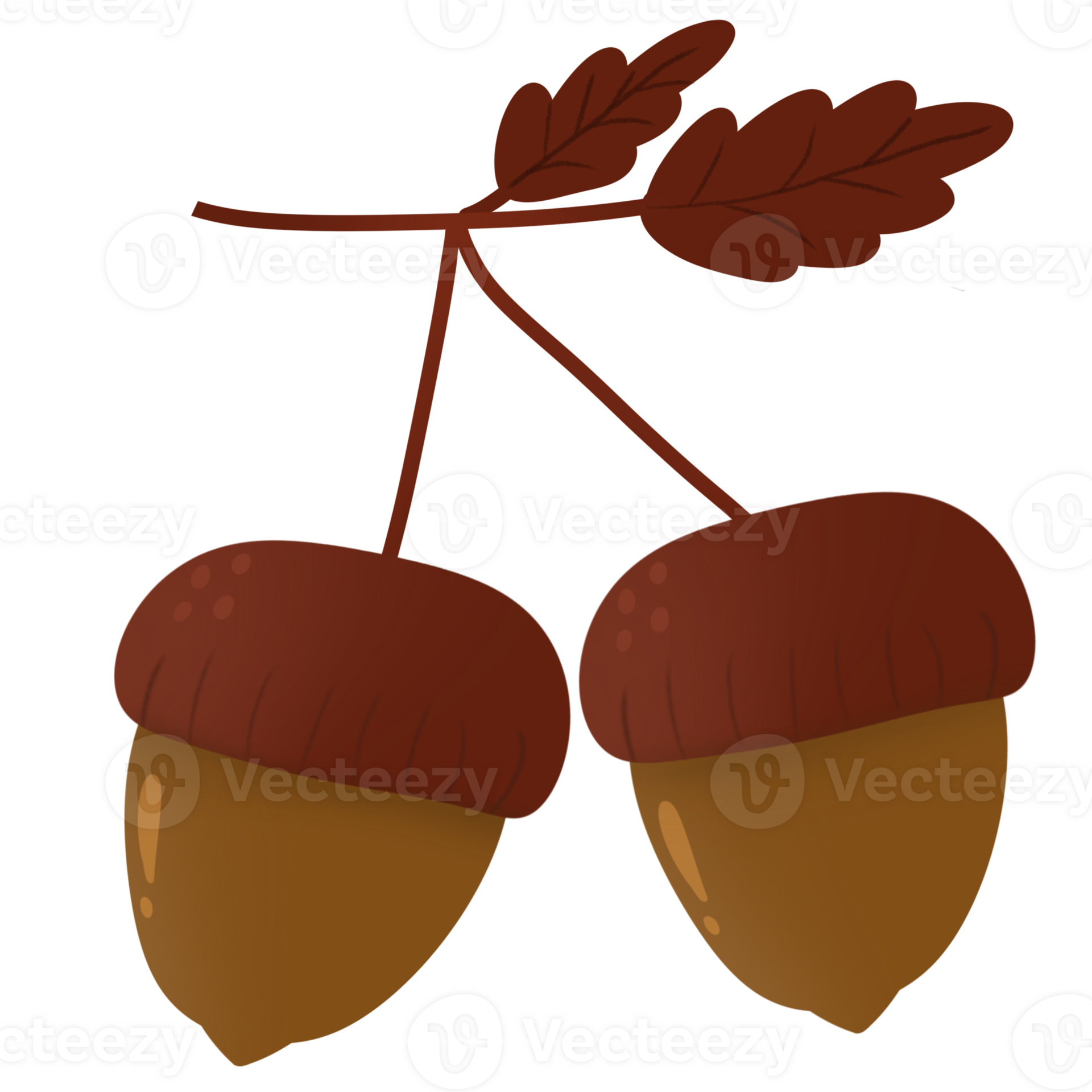 clipart acorns clipart Items in the season of falling trees 33530141 PNG
