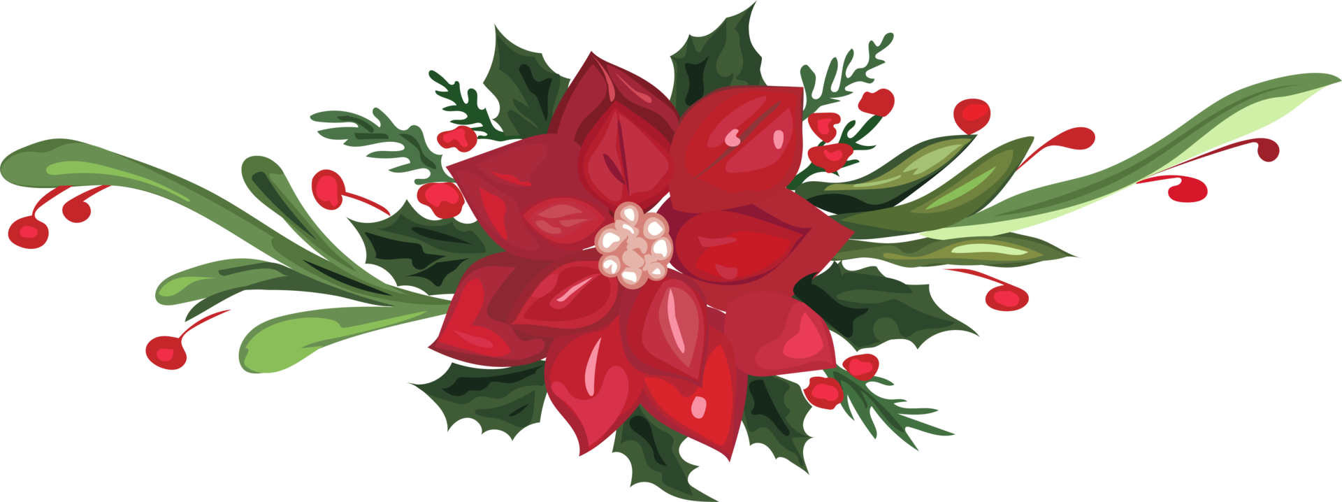Christmas Poinsettias Flower 33537210 Png