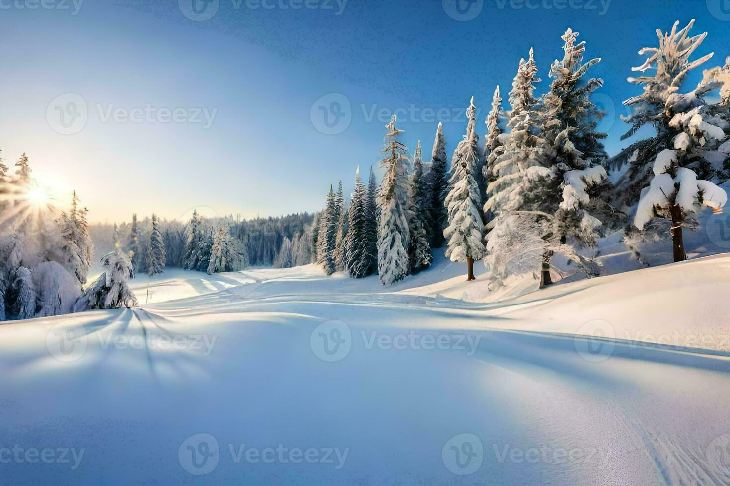 photo wallpaper the sky, snow, trees, trees, trees, trees, trees, trees ...