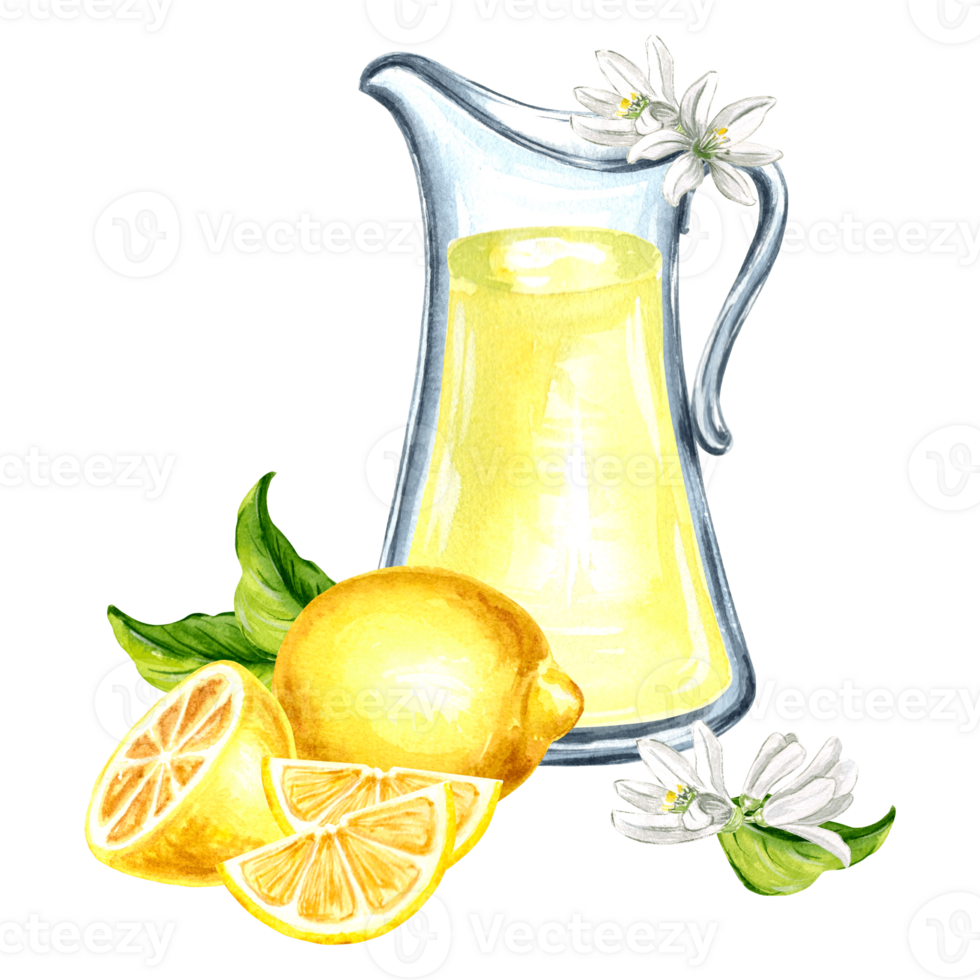 Composition Of Jug With Lemonade Lemon And Flowers Watercolor Hand