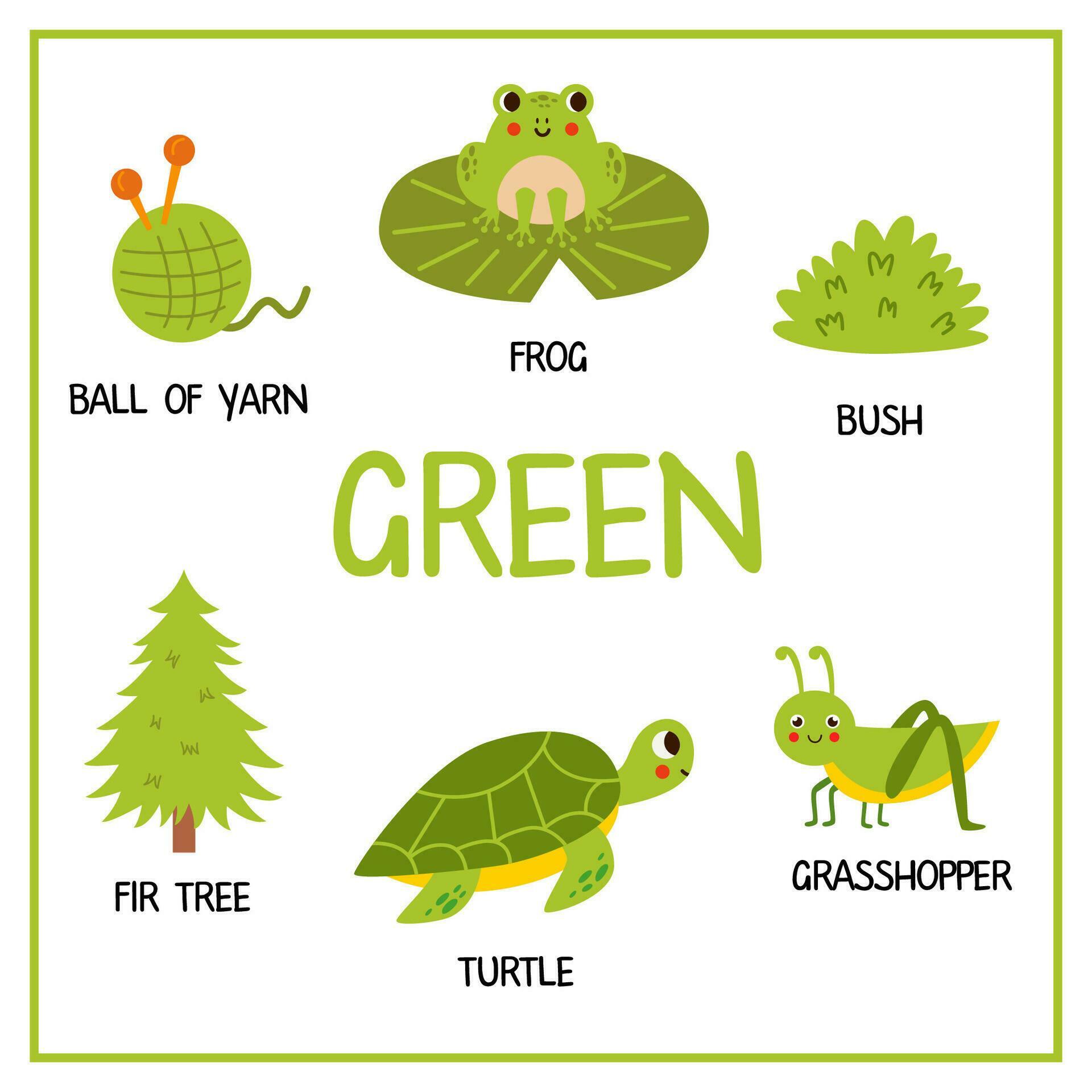 Learning colors worksheet for kids. green color flashcard. 33848951 ... Learning colors worksheet for kids. green color flashcard. 33848951 ...