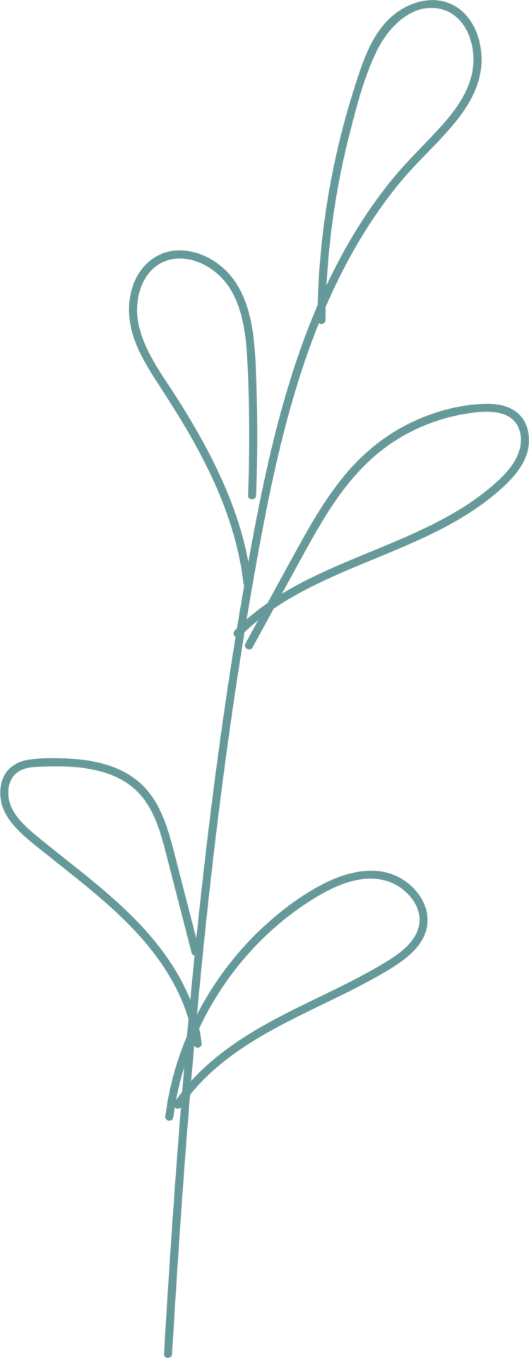 Leaf line hand drawn doodle. 33850545 PNG Leaf line hand drawn doodle. 33850545 PNG