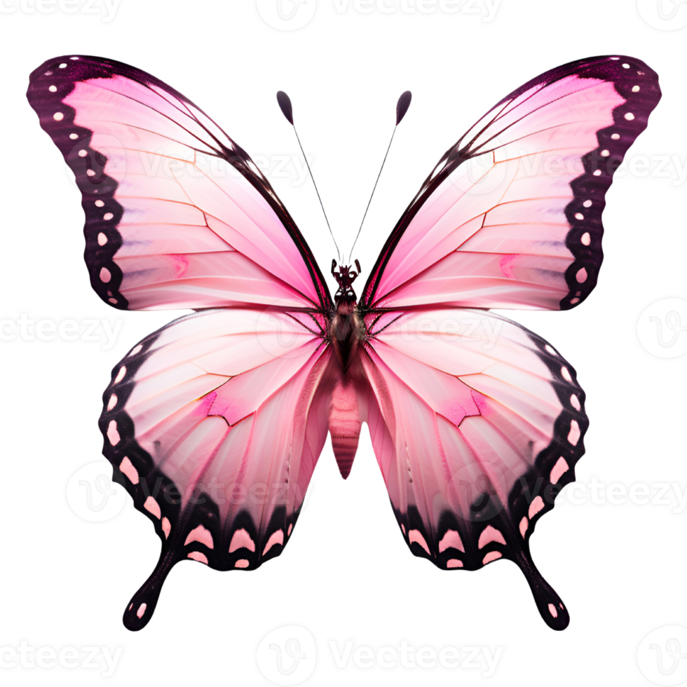 Beautiful Pink Butterfly Isolated on a Transparent Background. AI ... Beautiful Pink Butterfly Isolated on a Transparent Background. AI ...