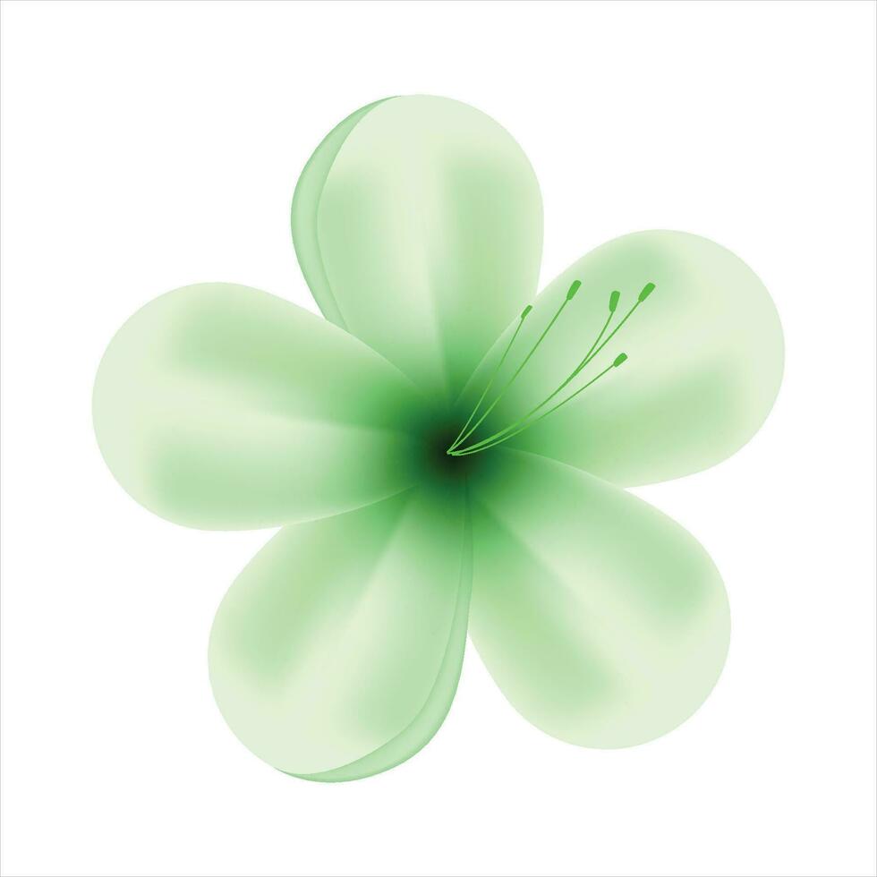 Vector spring green flowers on white background 33875223 Vector Art at ...