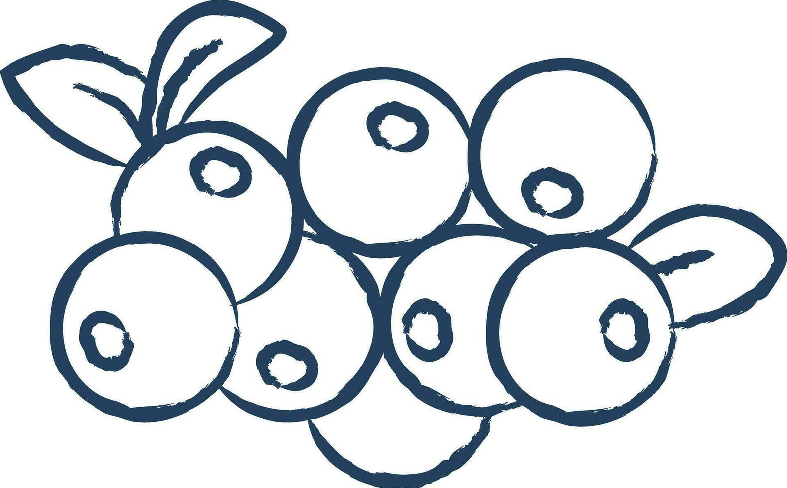 Cranberry cut hand drawn vector illustration 33879212 Vector Art at ... Cranberry cut hand drawn vector illustration 33879212 Vector Art at ...