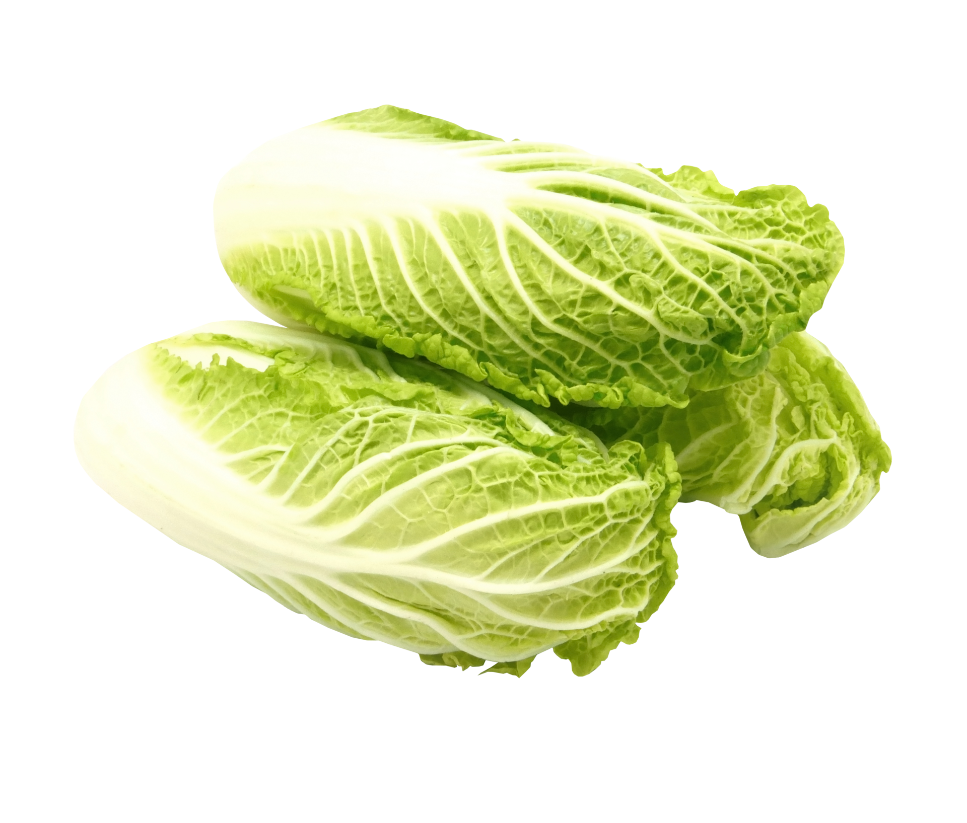 Napa Cabbage Emoji at Alex Mckean blog