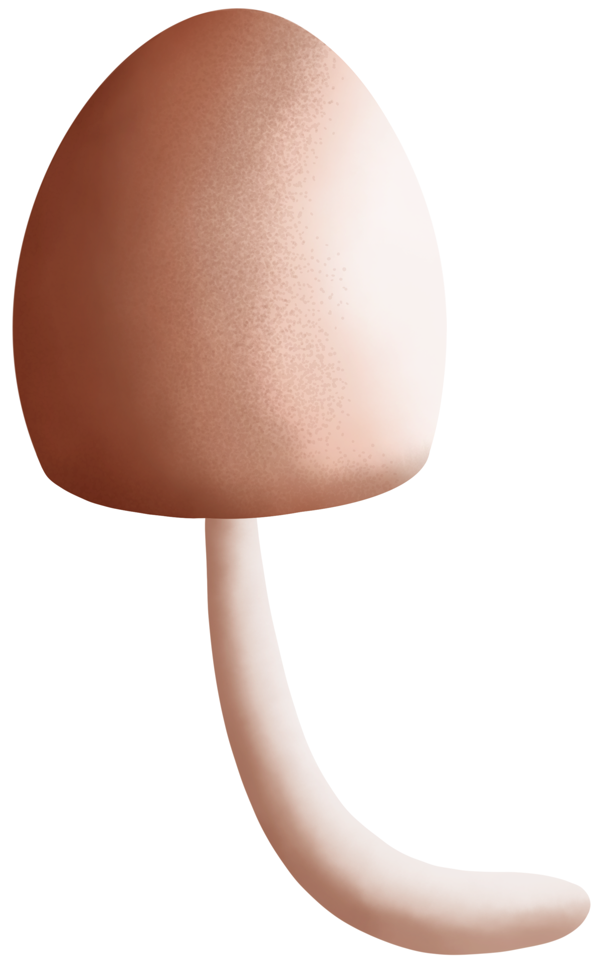 Fresh Mushrooms For Cooking 33890929 Png