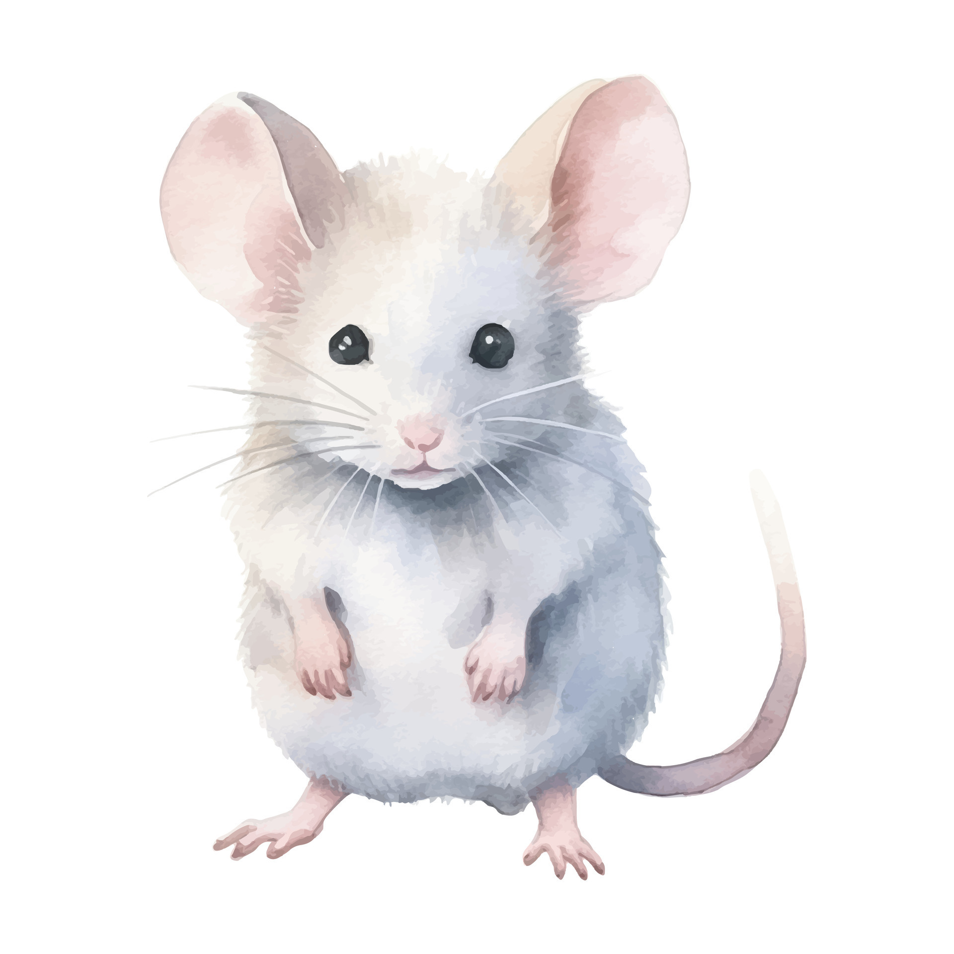 Watercolor mouse. Vector illustration with hand drawn mouse, rodent ... Watercolor mouse. Vector illustration with hand drawn mouse, rodent ...
