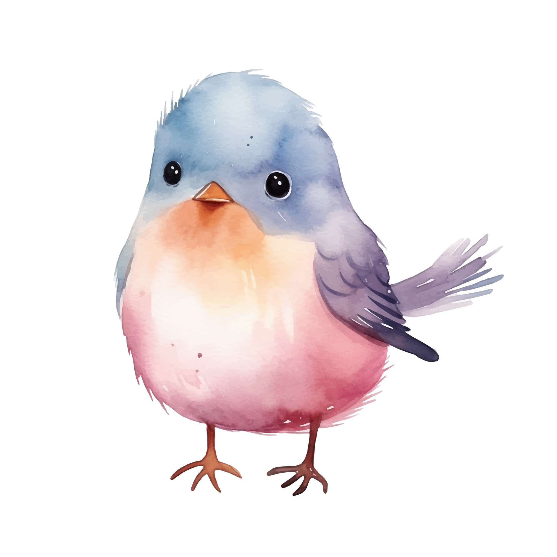 Watercolor cute bird. Vector illustration with hand drawn exotic birds ...