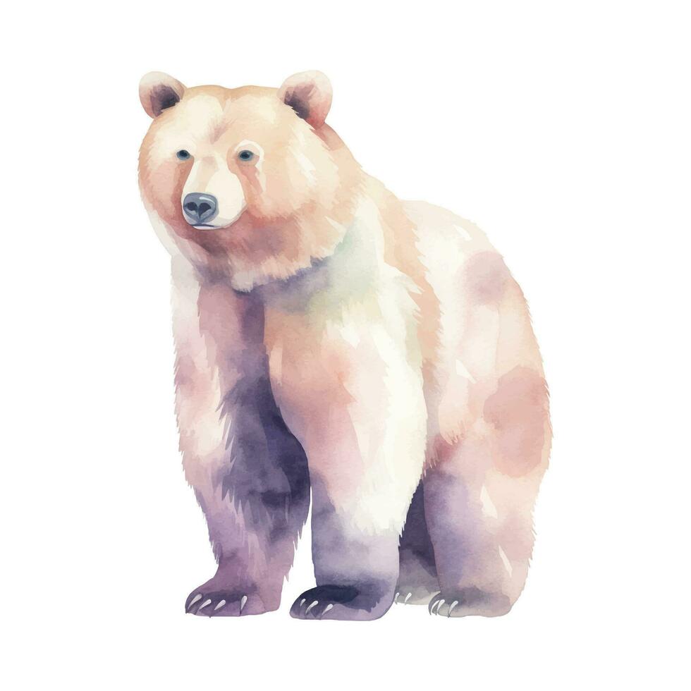 Watercolor brown bear. Vector illustration with hand drawn bear animal ...