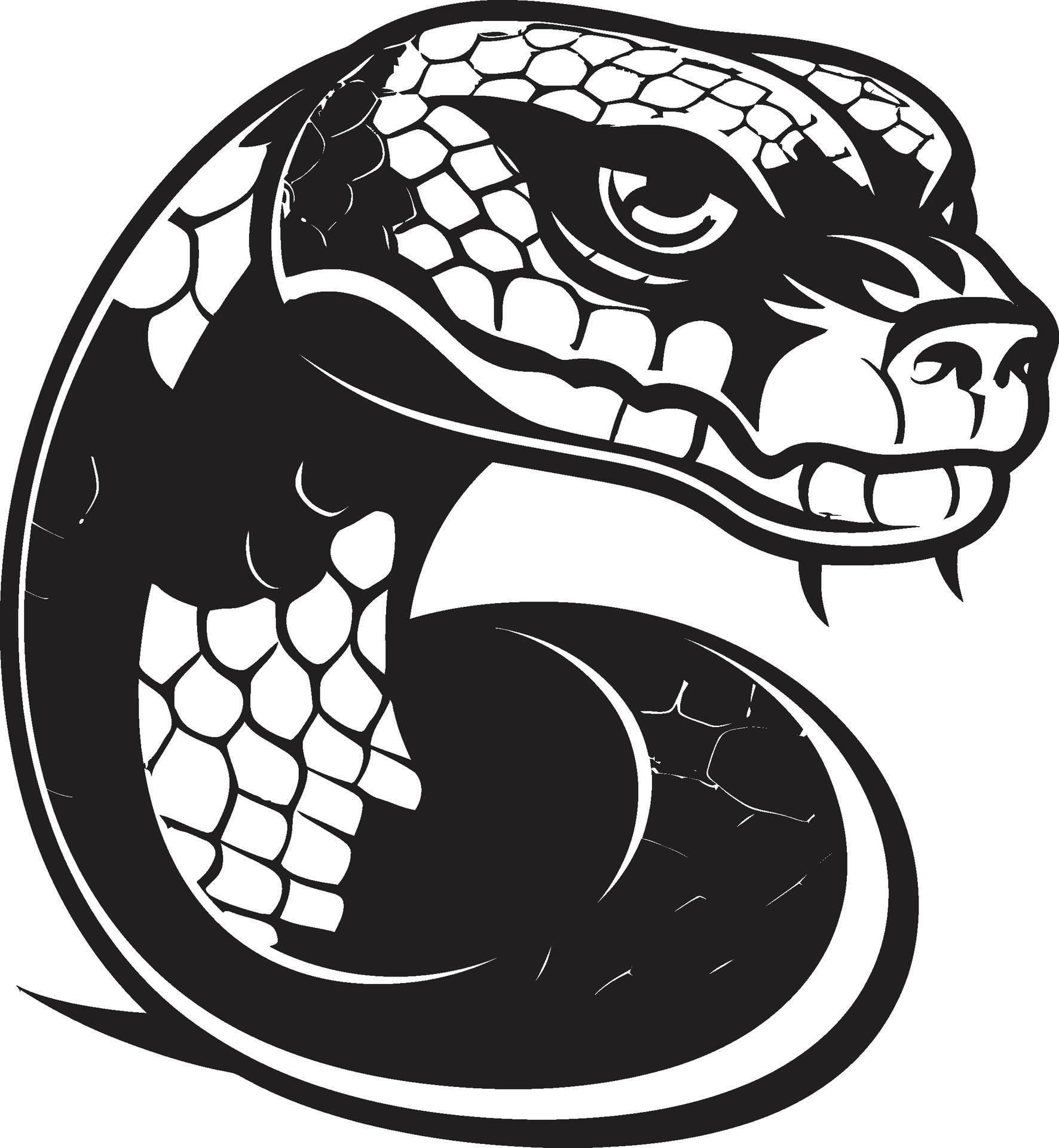 Pythons Artistic Journey Vector Illustration Basics Creating Vector Art From Scratch With Python