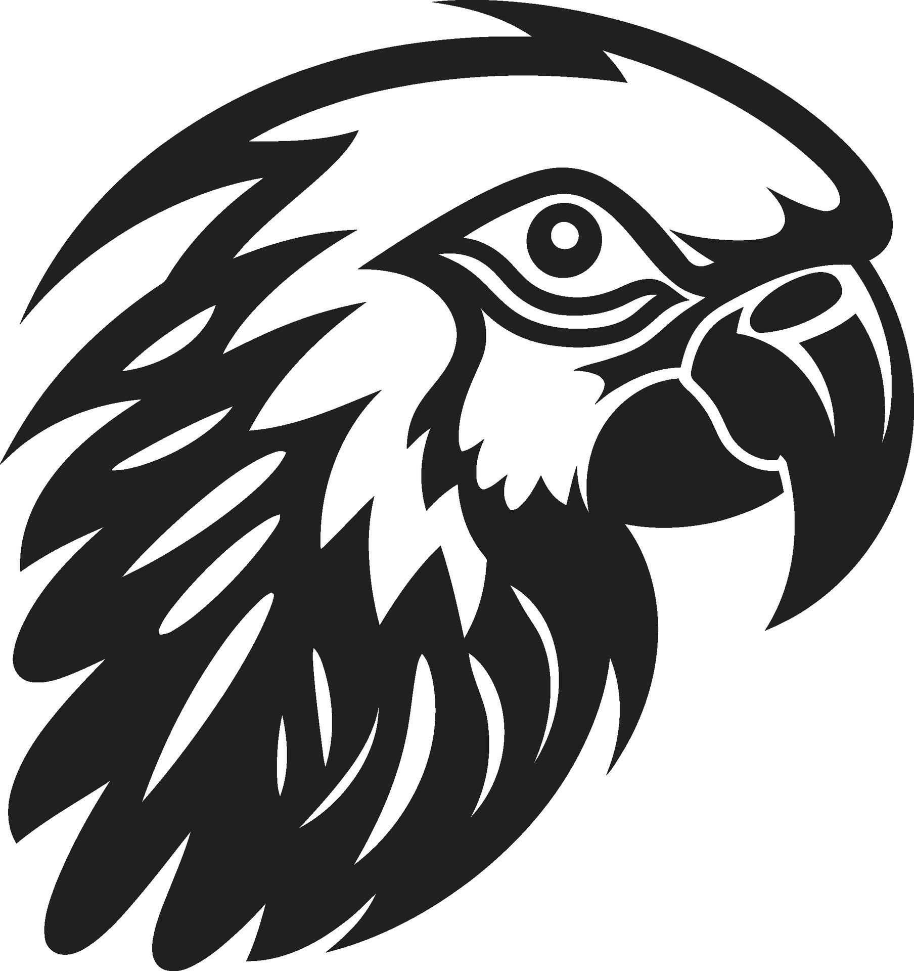 Parrot Vectors for Apparel Bold Fashion Statements Parrot Vector Art ... Parrot Vectors for Apparel Bold Fashion Statements Parrot Vector Art ...