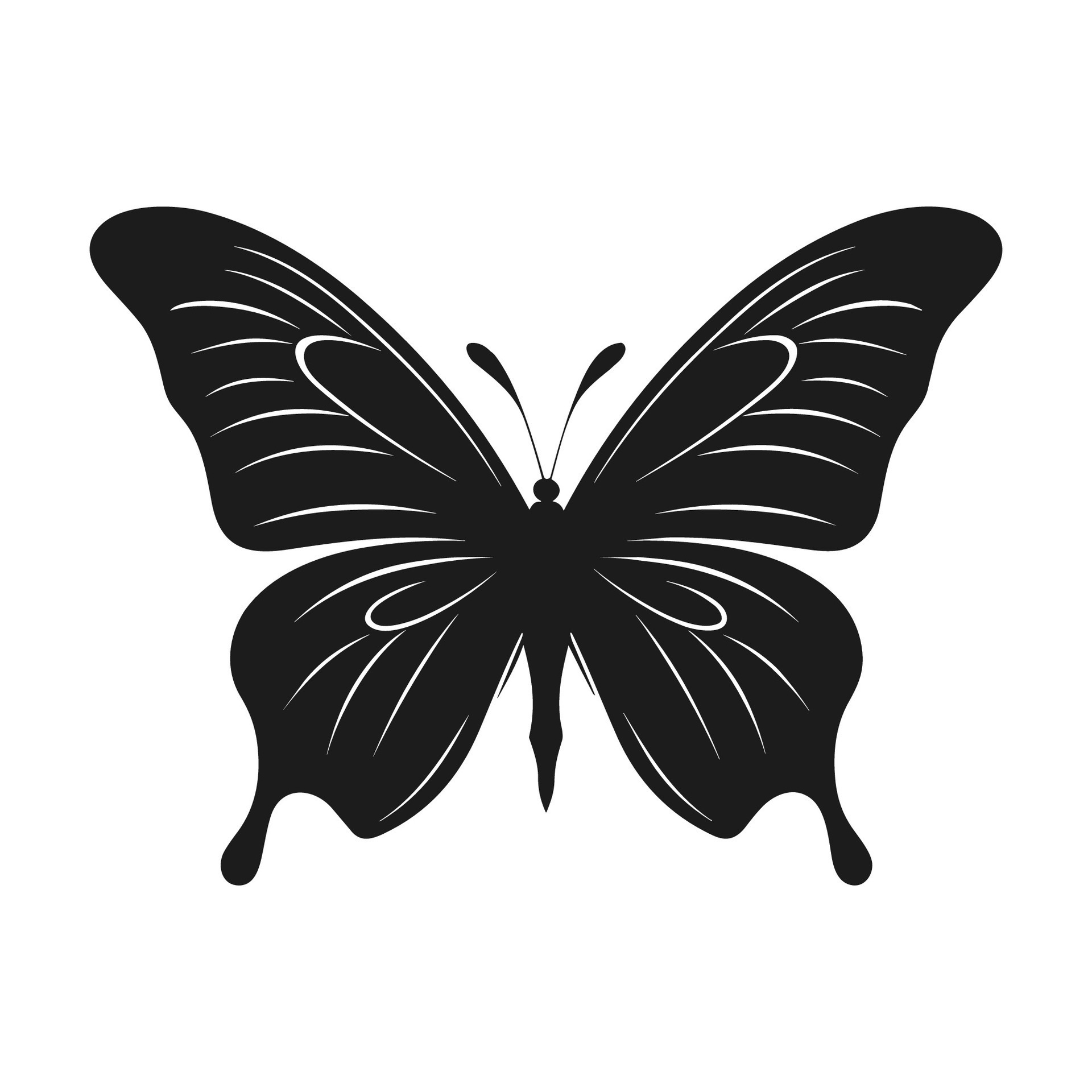 Free Butterfly Silhouette Vector Illustration Flying Butterfly Black