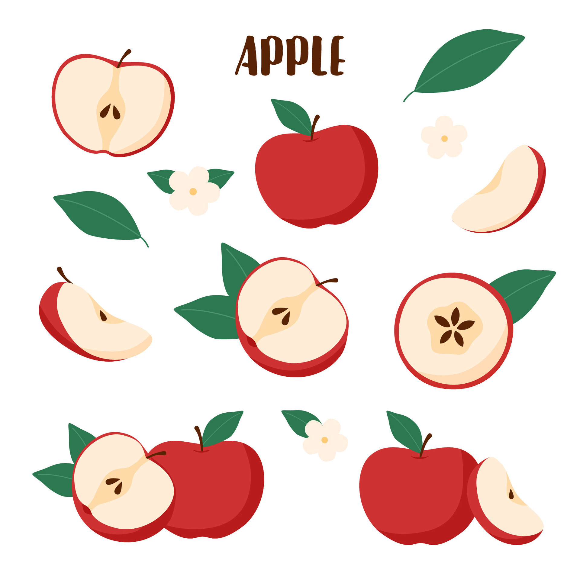 Apple elements set 34204142 Vector Art at Vecteezy