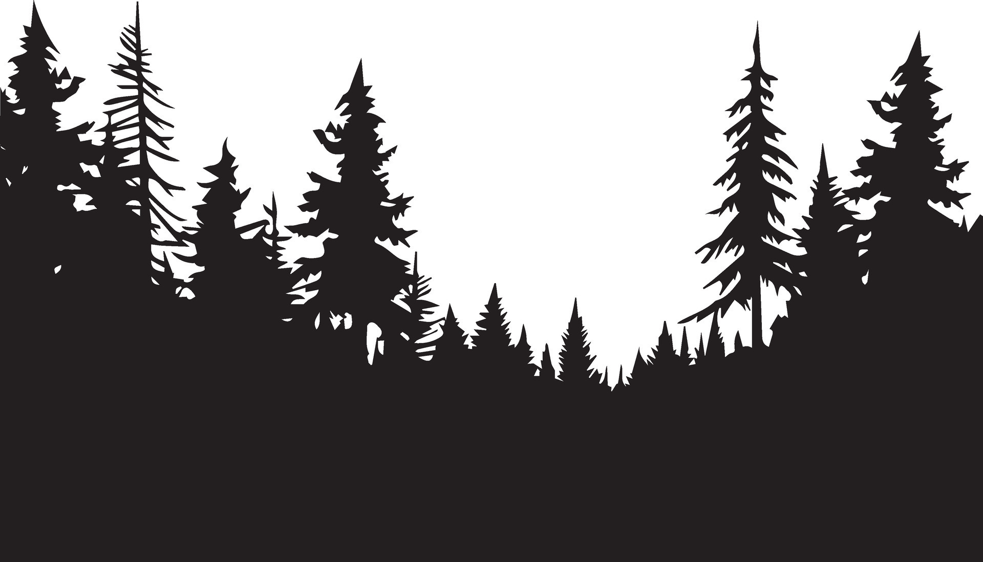 Forest Vector silhouette illustration 6 34212611 Vector Art at Vecteezy