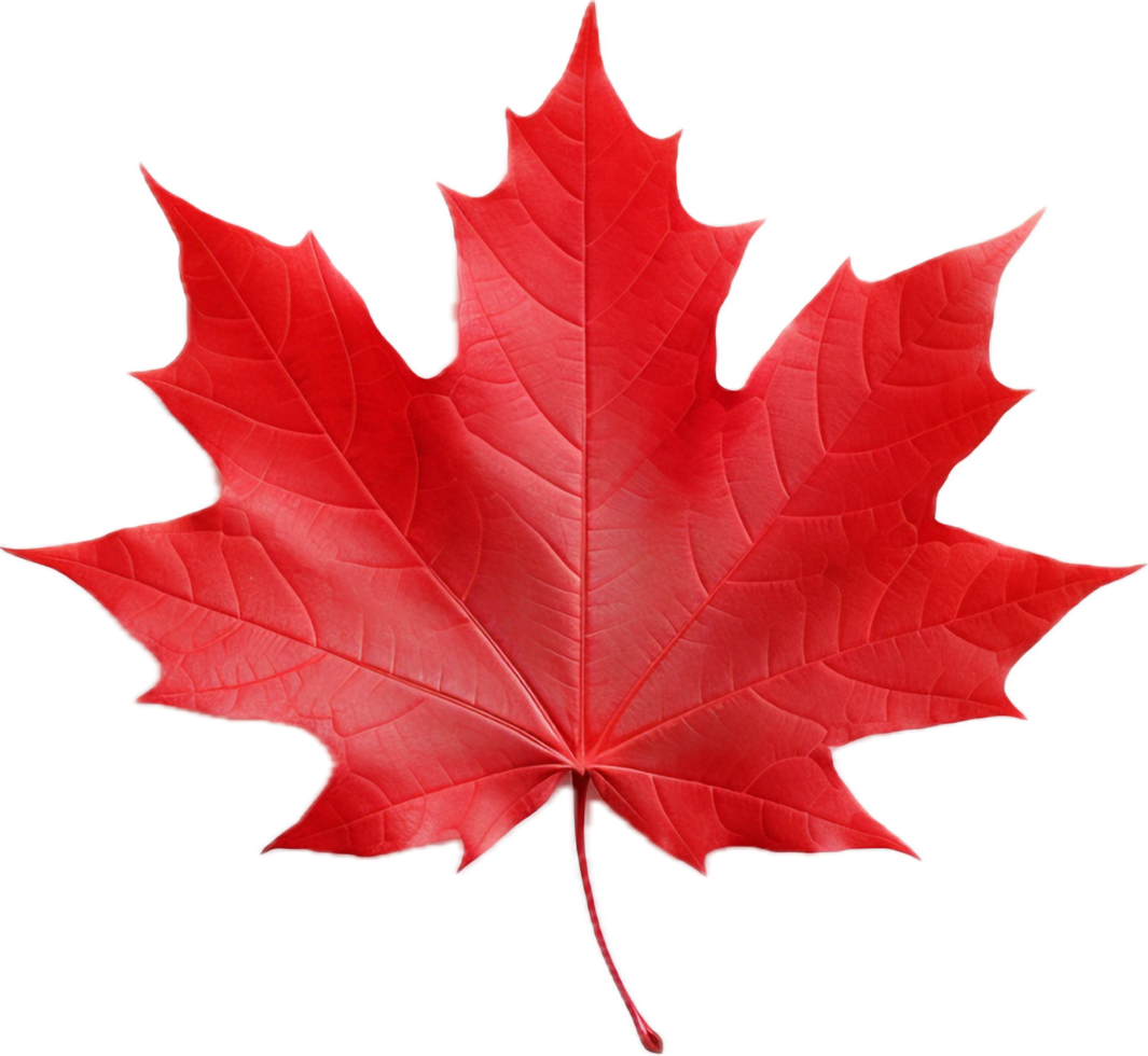 Red Maple Leaf Png With Ai Generated 34338954 Png