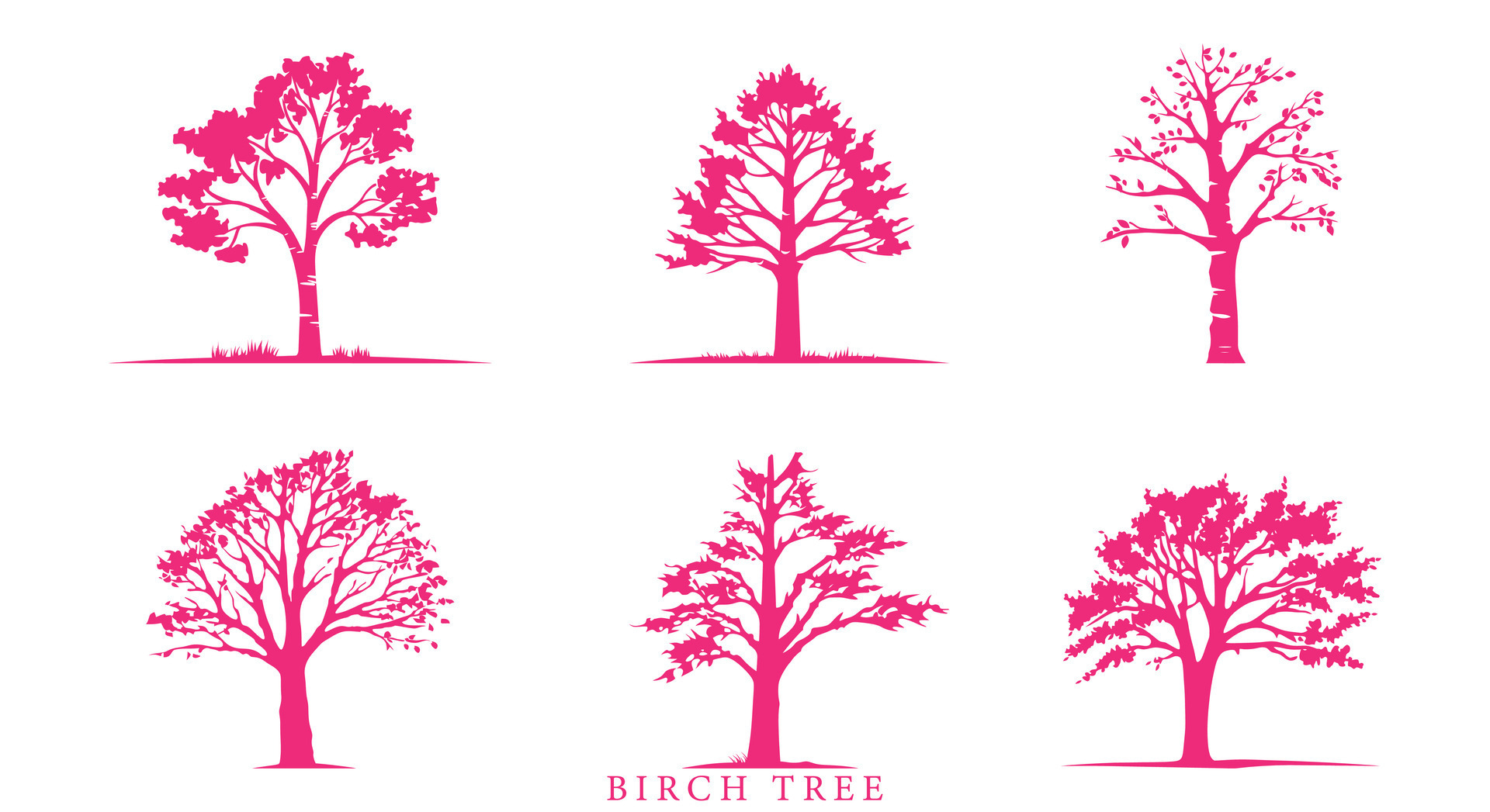 Graceful Birch Silhouette Wilderness Poetry 34371912 Vector Art at Vecteezy Graceful Birch Silhouette Wilderness Poetry 34371912 Vector Art at Vecteezy