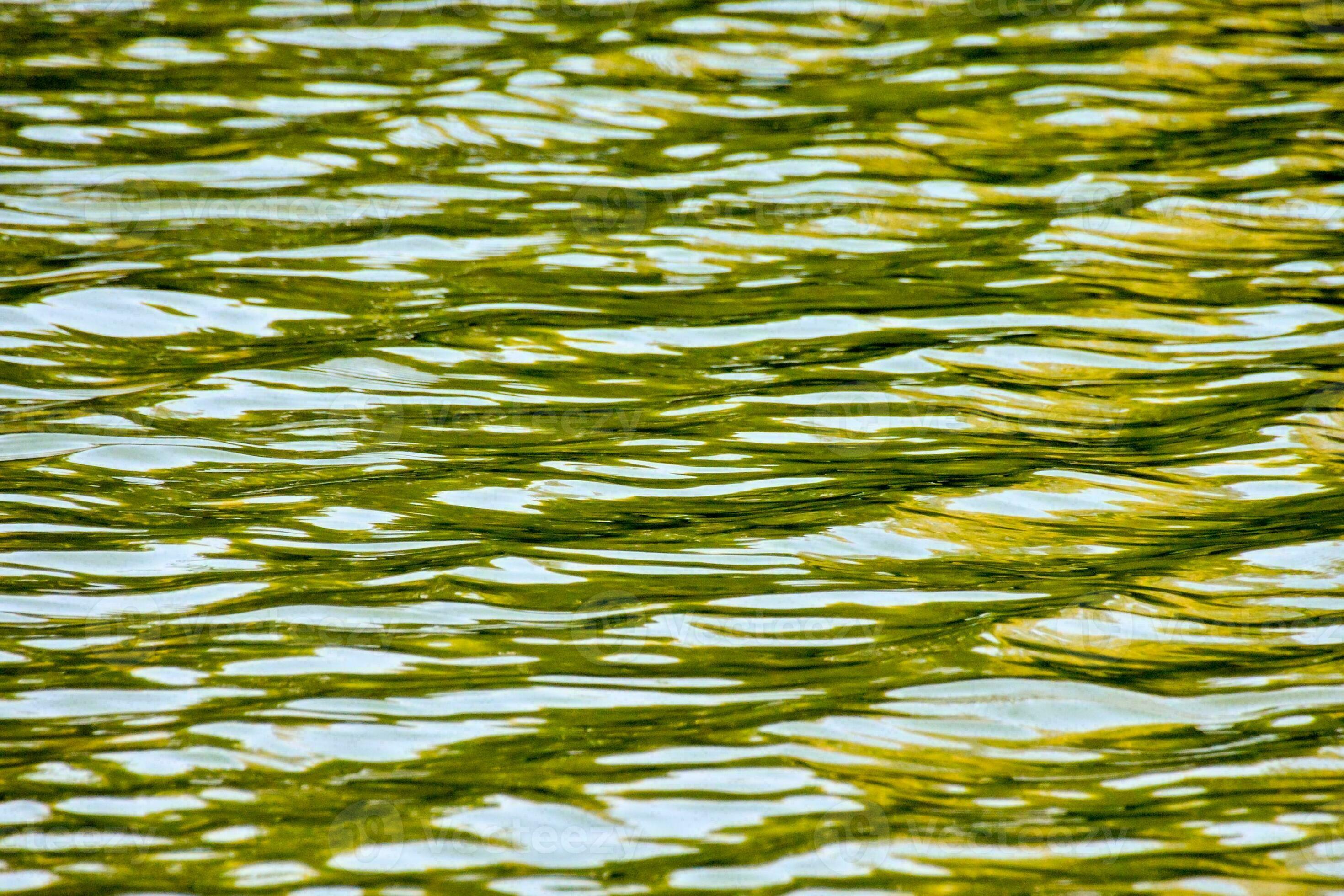 Ripples In The Water 34441267 Stock Photo At Vecteezy ripples-in-the-water-34441267-stock-photo-at-vecteezy