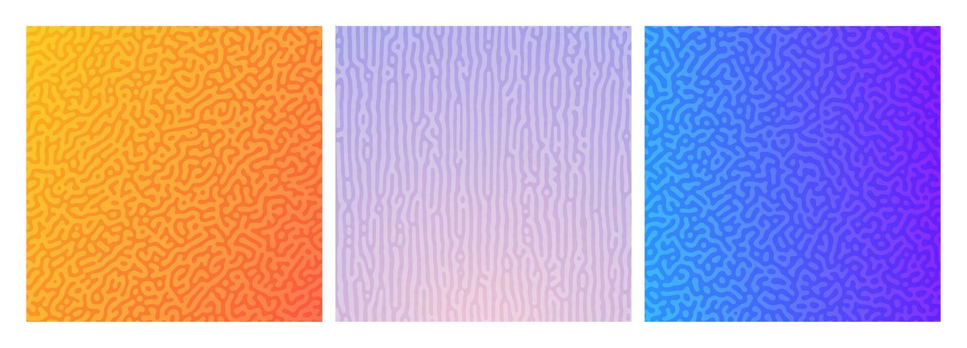 Set Of Three Colorful Turing Reaction Gradient Backgrounds Abstract