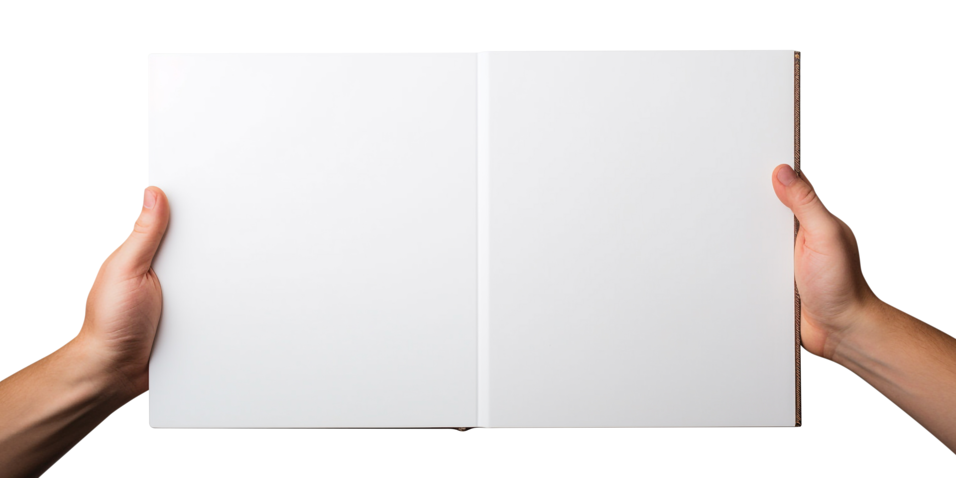 Hands Holding Blank Book Hands Holding Blank Photo Album Hands Holding hands-holding-blank-book-hands-holding-blank-photo-album-hands-holding