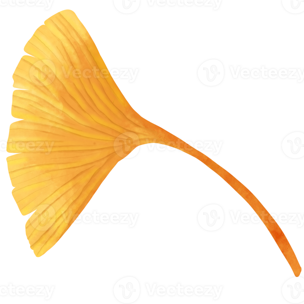 Autumn Leaf Fall Leaf Illustration Clipart 34619639 Png