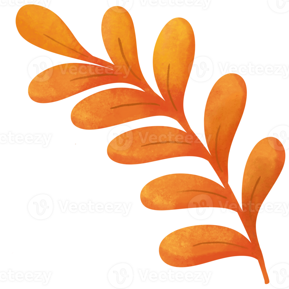 Autumn Leaf Fall Leaf Illustration Clipart 34619652 Png