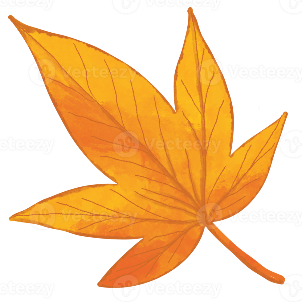 autumn leaf. fall leaf illustration clipart. 34619653 PNG