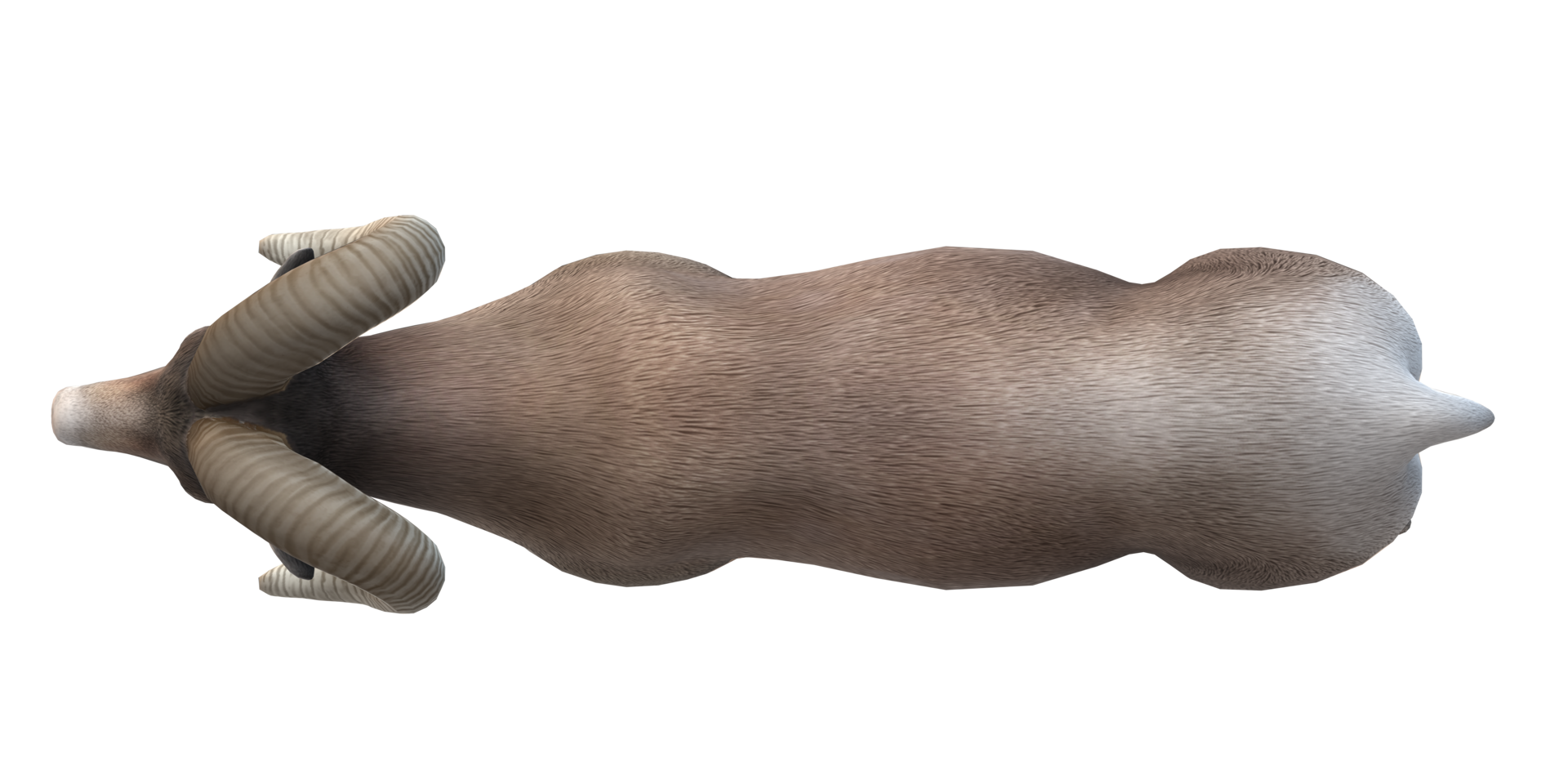 Ram isolated on a Transparent Background 34635560 PNG Ram isolated on a Transparent Background 34635560 PNG