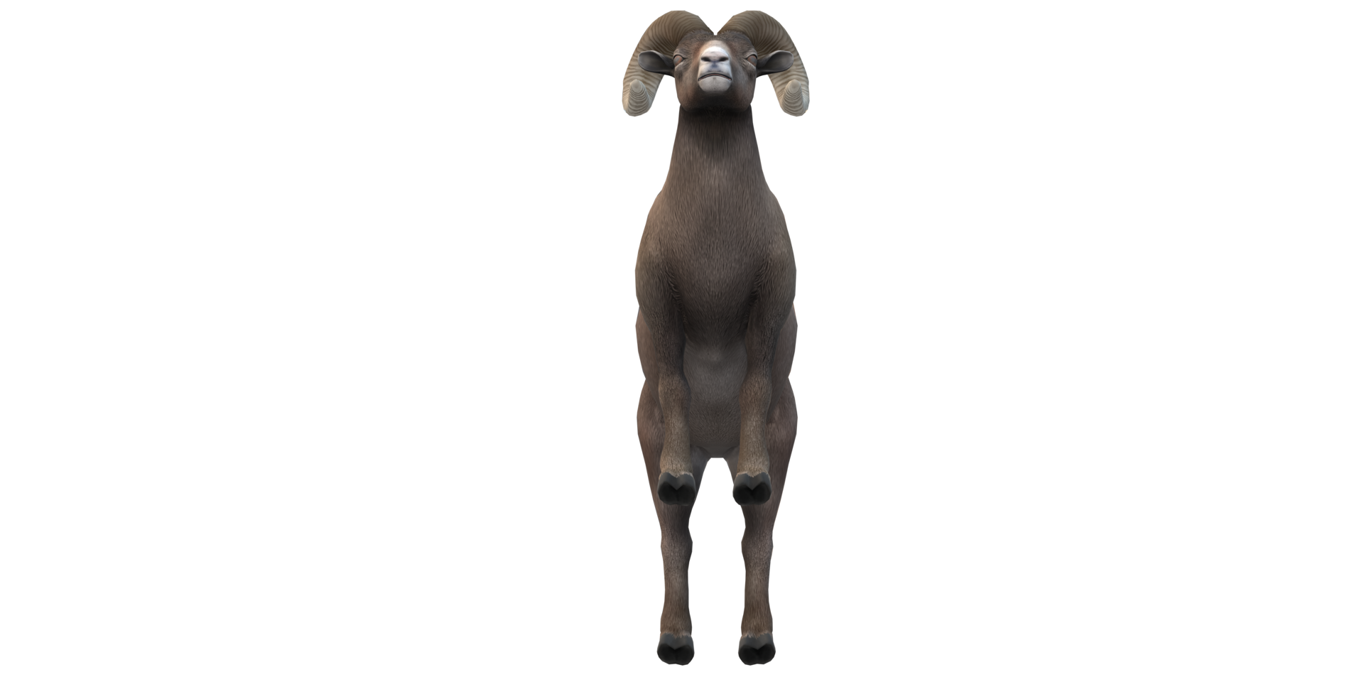 Ram isolated on a Transparent Background 34635561 PNG Ram isolated on a Transparent Background 34635561 PNG