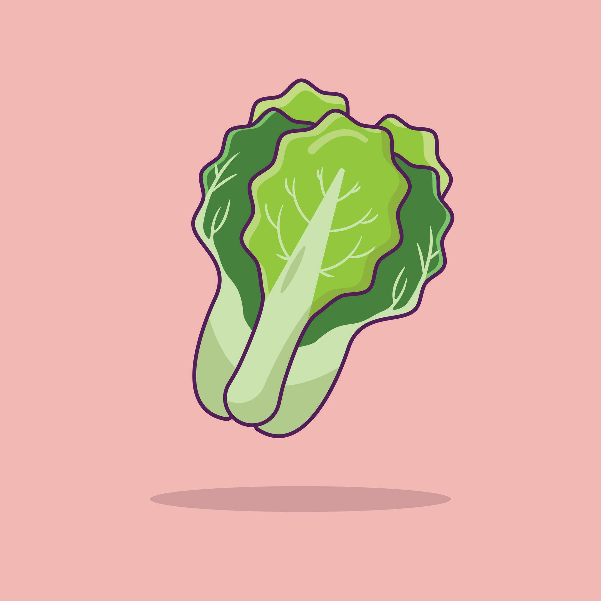 Mustard Pakcoy Vegetable Cartoon Vector Icon Illustration Food Nature Icon Concept Isolated