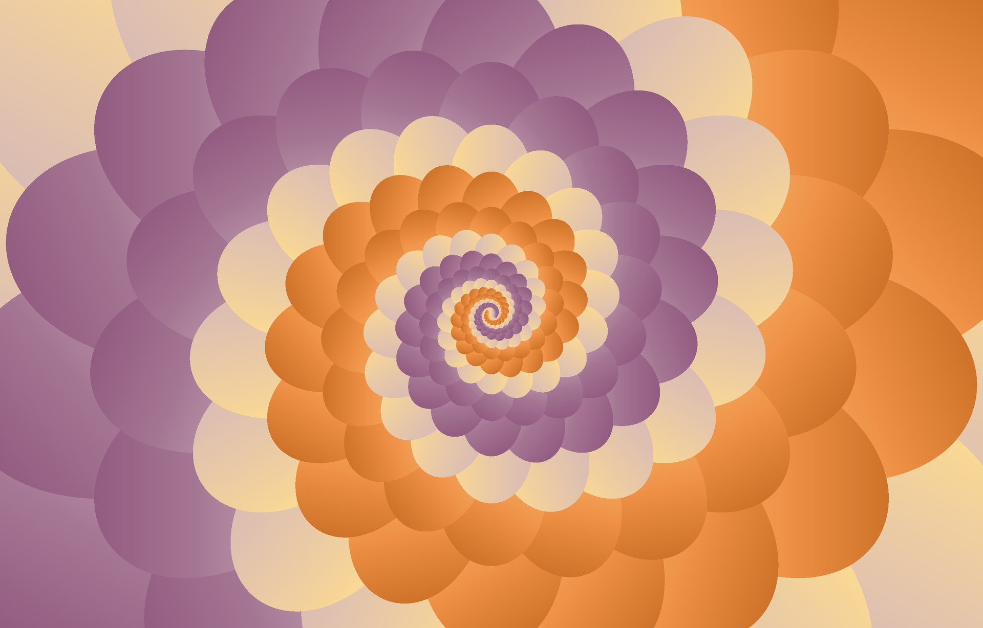 Fibonacci Spiral Background Colorful Nautilus Fibonacci Pattern