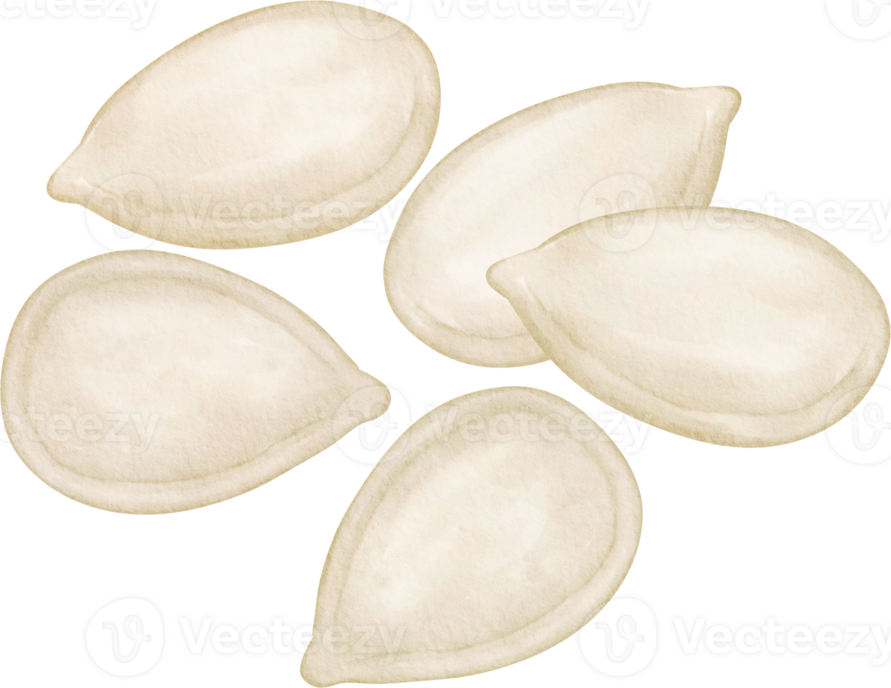 Pumpkin Seed Clip Art