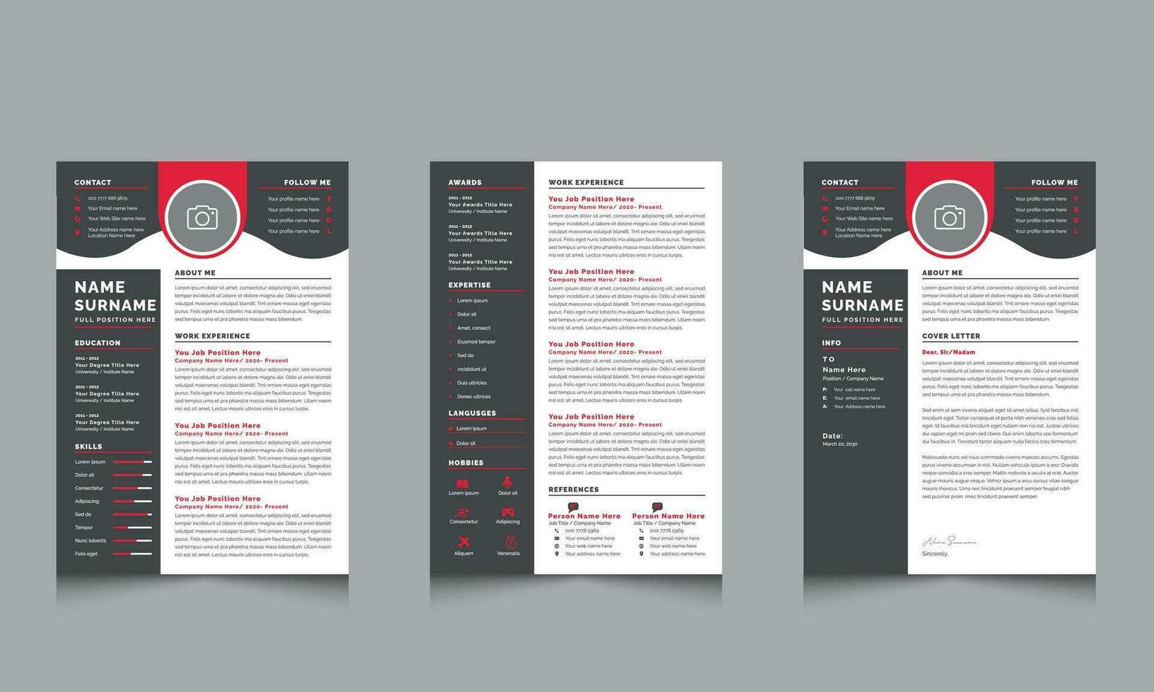 Professional Resume CV Template Layout Jobs CV Design 34758735 Vector ...