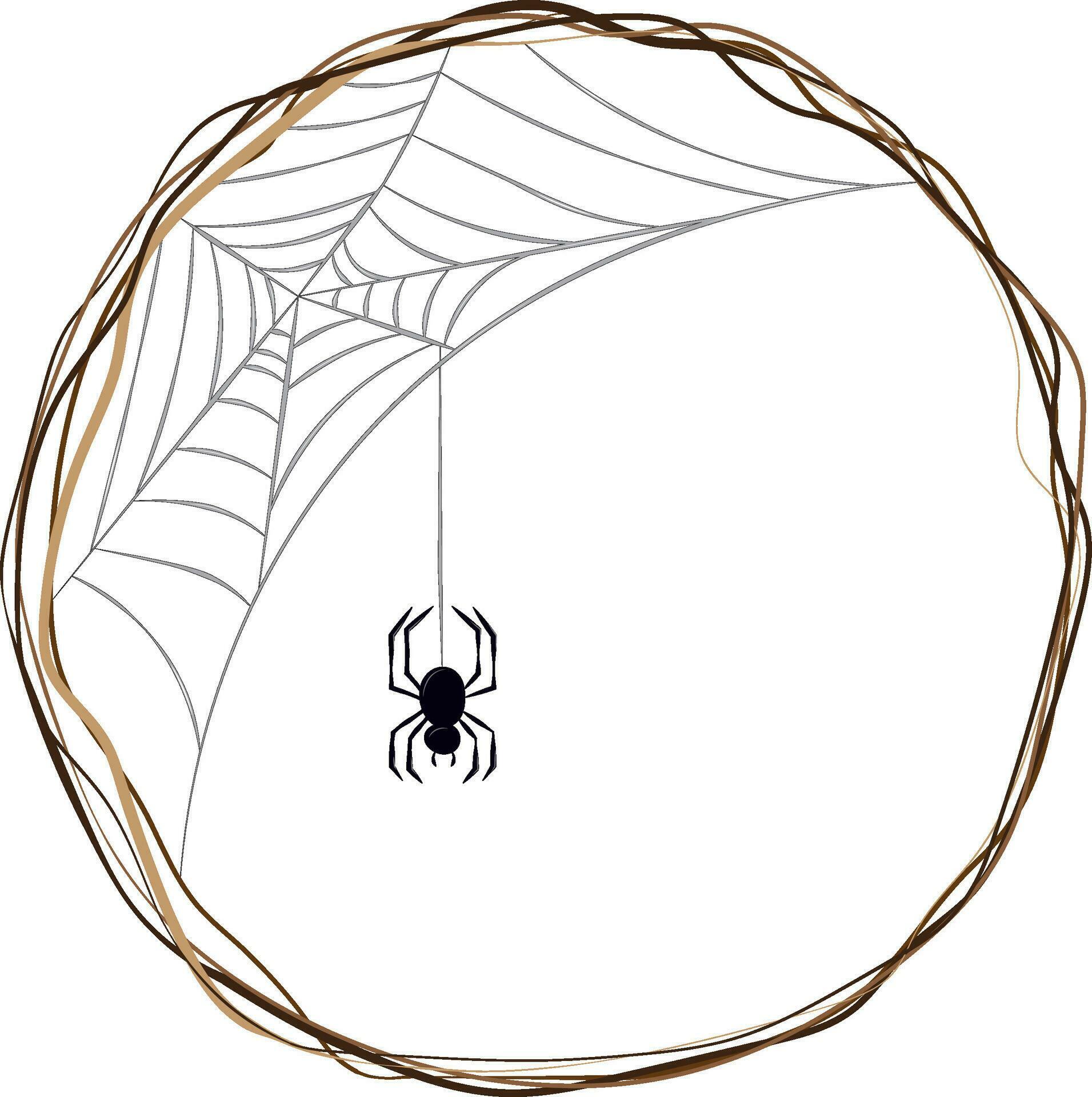 Spider web in circle frame vector illustration 34844082 Vector Art at ...