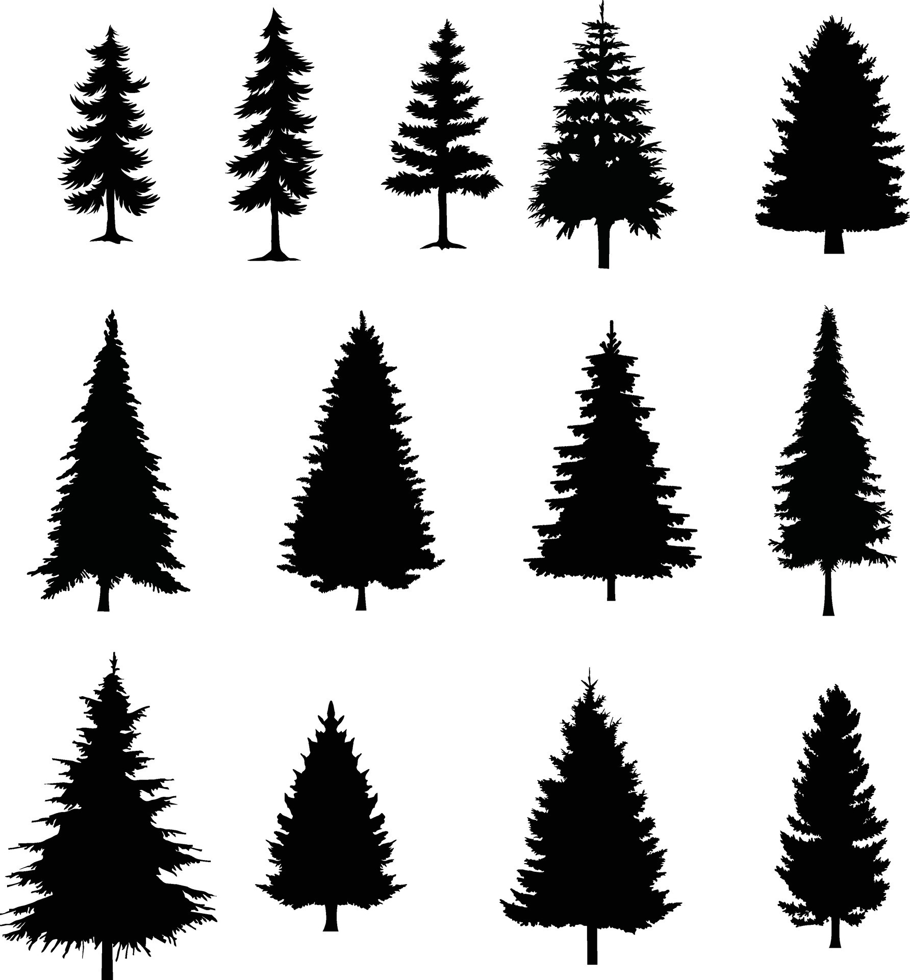 Set Of Pine Trees Silhouette Vector Pine tree 34845453 Vector Art at ...