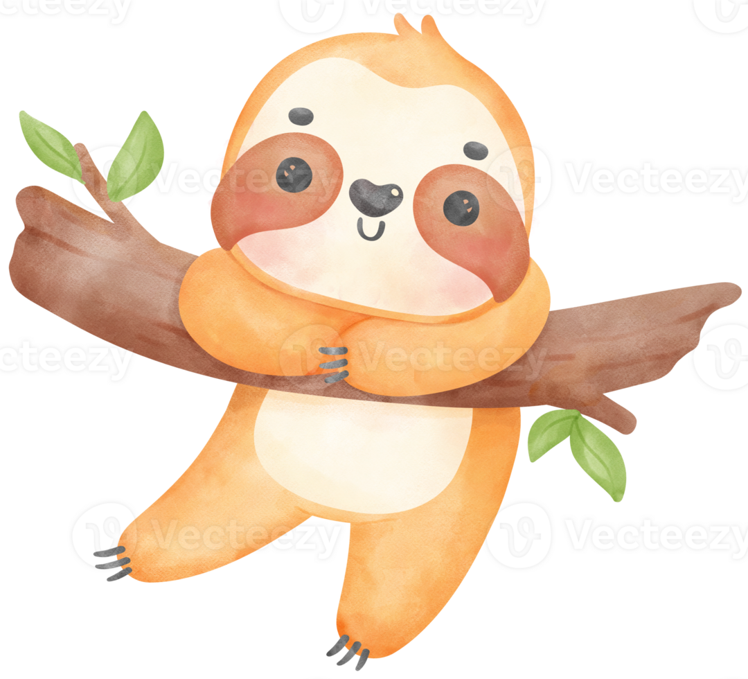Cute Baby Sloth hanging Watercolor Cartoon Illustration 34889983 PNG