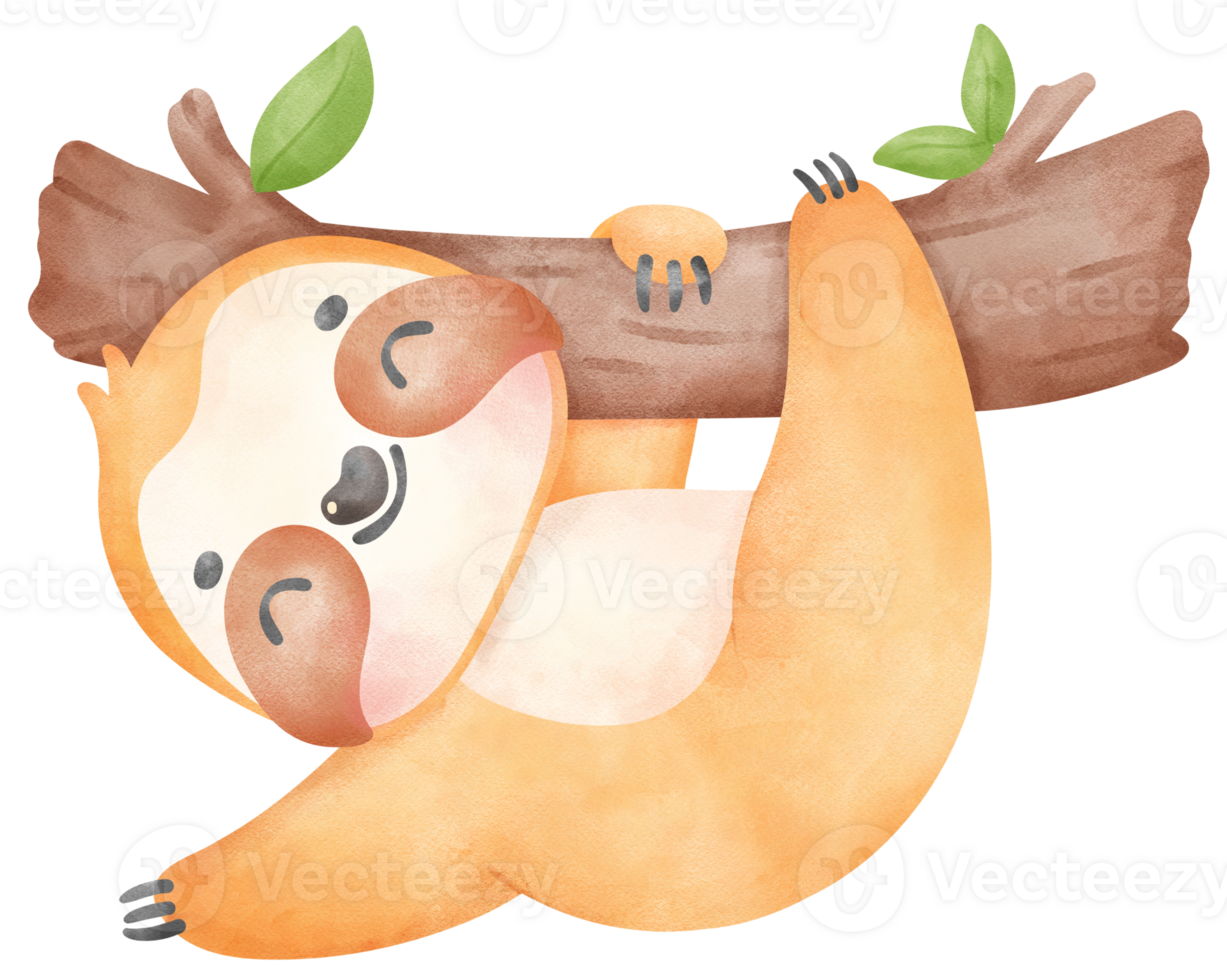 Cute Baby Sloth hanging Watercolor Cartoon Illustration 34889985 PNG