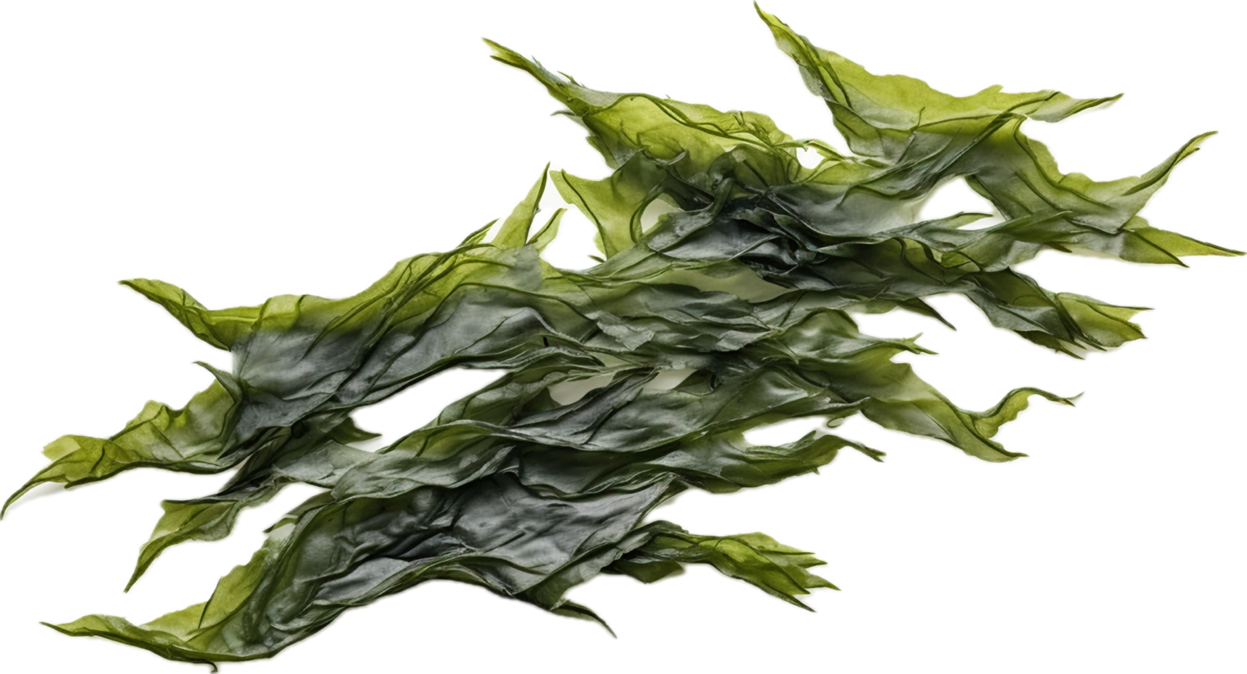 AI generated sheet of dried seaweed png 34918876 PNG