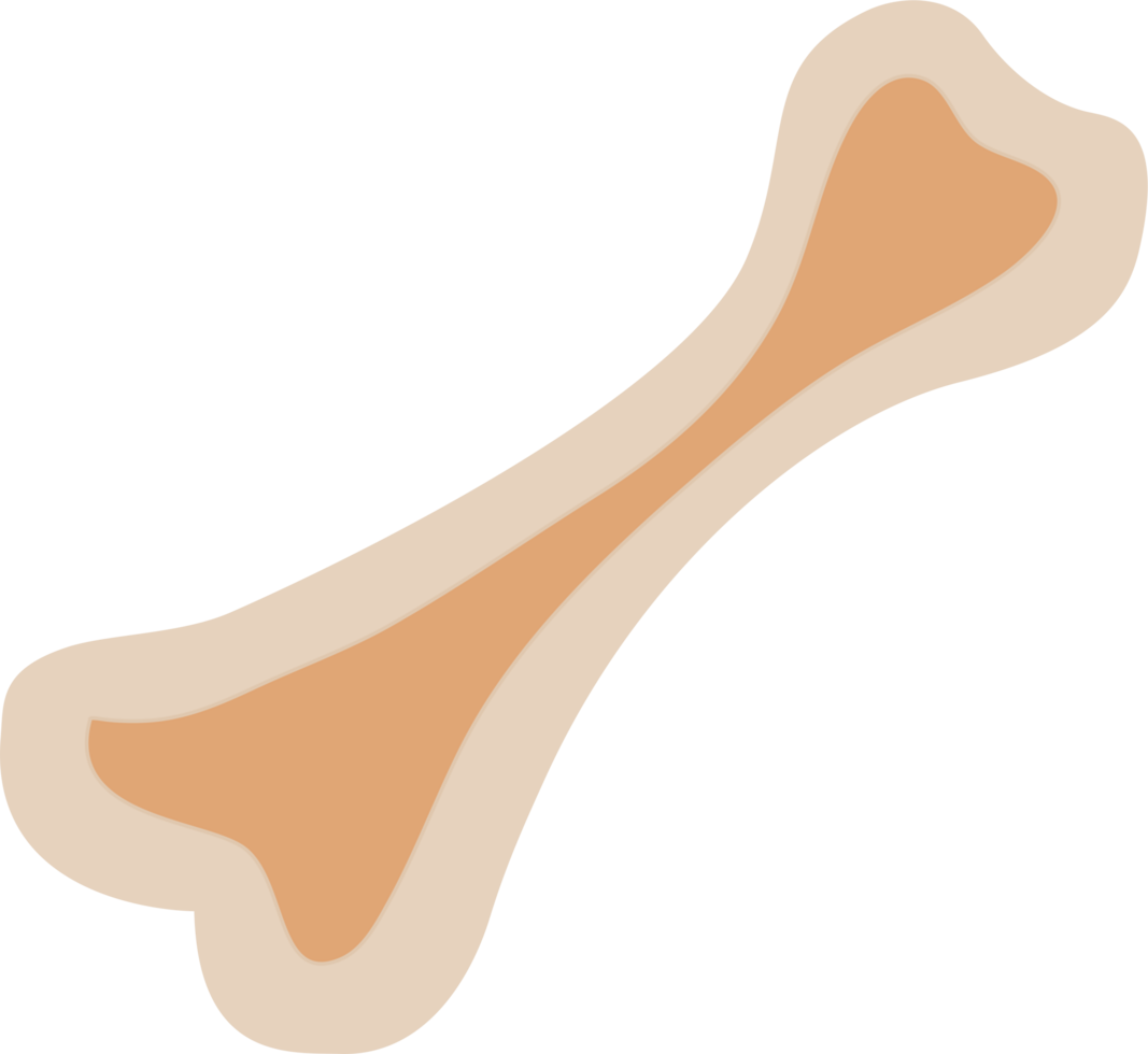 A Dog Bone 34961018 PNG A Dog Bone 34961018 PNG