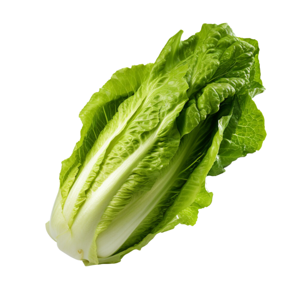 AI generated Romaine lettuce clip art 34968765 PNG