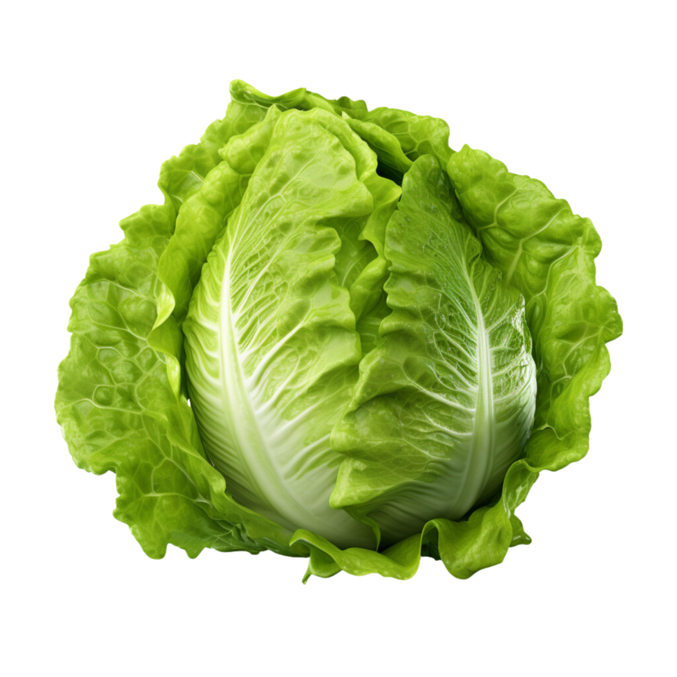 AI generated Green lettuce clip art 34968806 PNG
