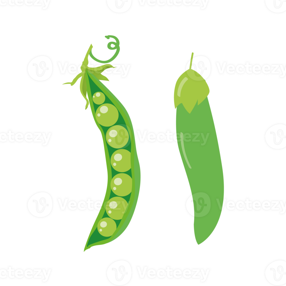 Set of two green peas isolated 34977128 PNG